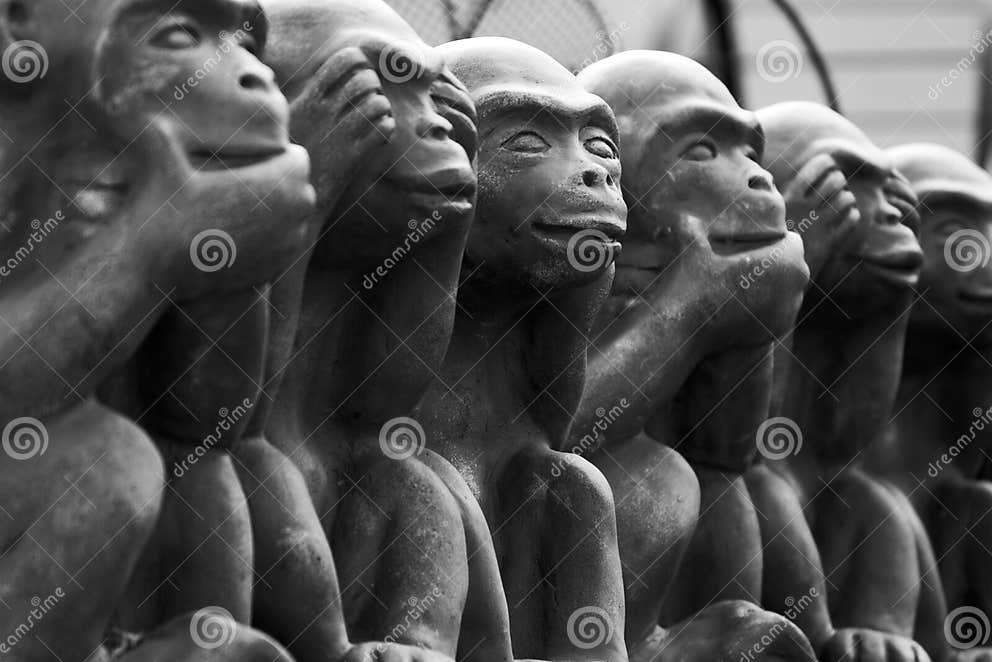 Indecisive Monkeys stock photo. Image of confusion, monkeys - 865740
