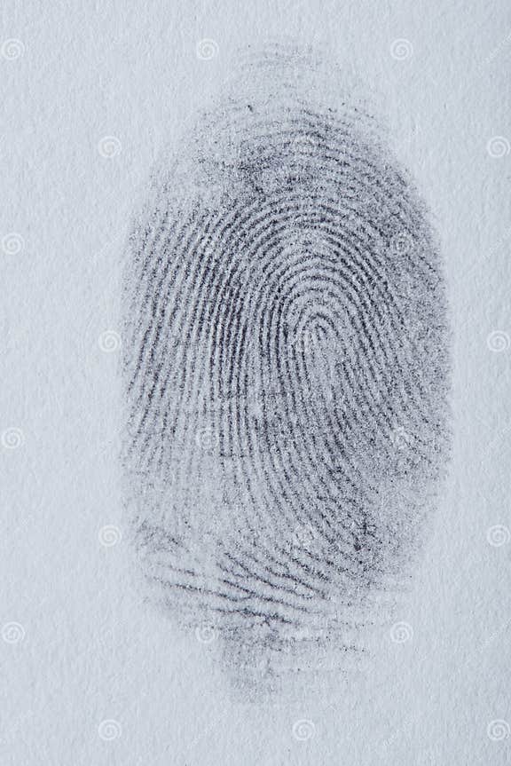 Indentification Finger Print Stock Image - Image of fingerprints ...