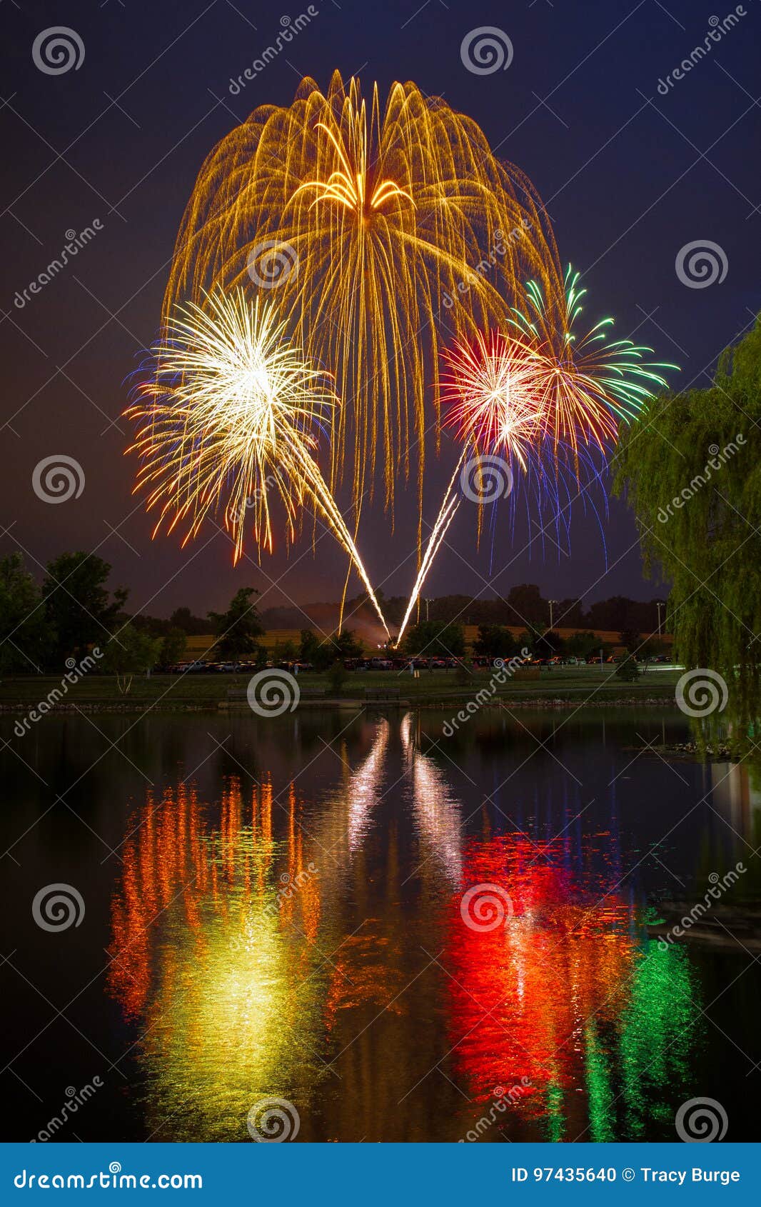 Fireworks On The Tree Royalty-Free Stock Photo | CartoonDealer.com ...