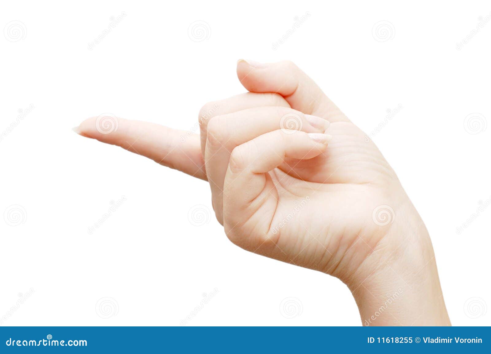 Index finger stock image. Image of indication, upward - 11618255