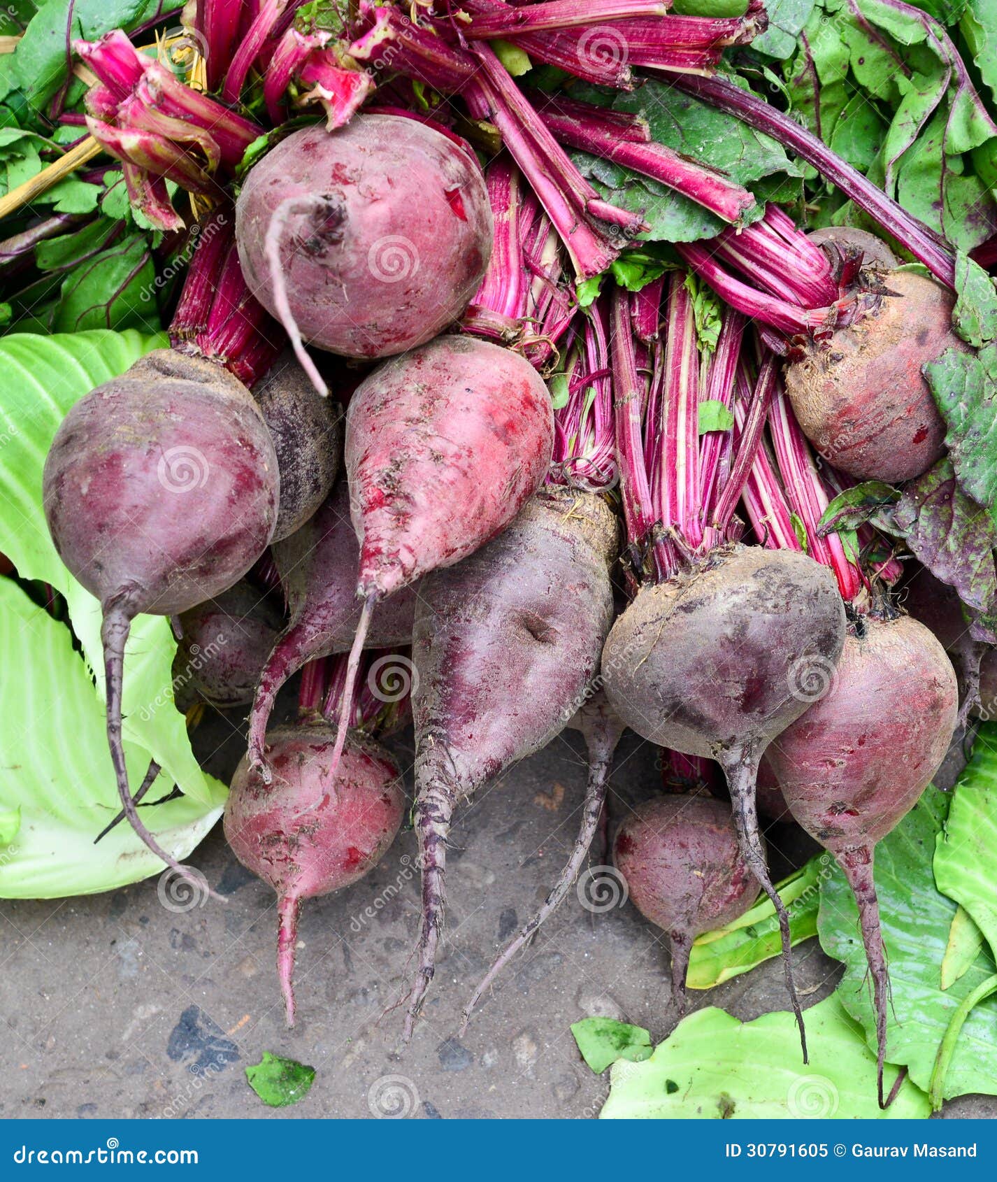 Indiański Rewolucjonistka Burak Obraz Stock - Obraz złożonej z ...