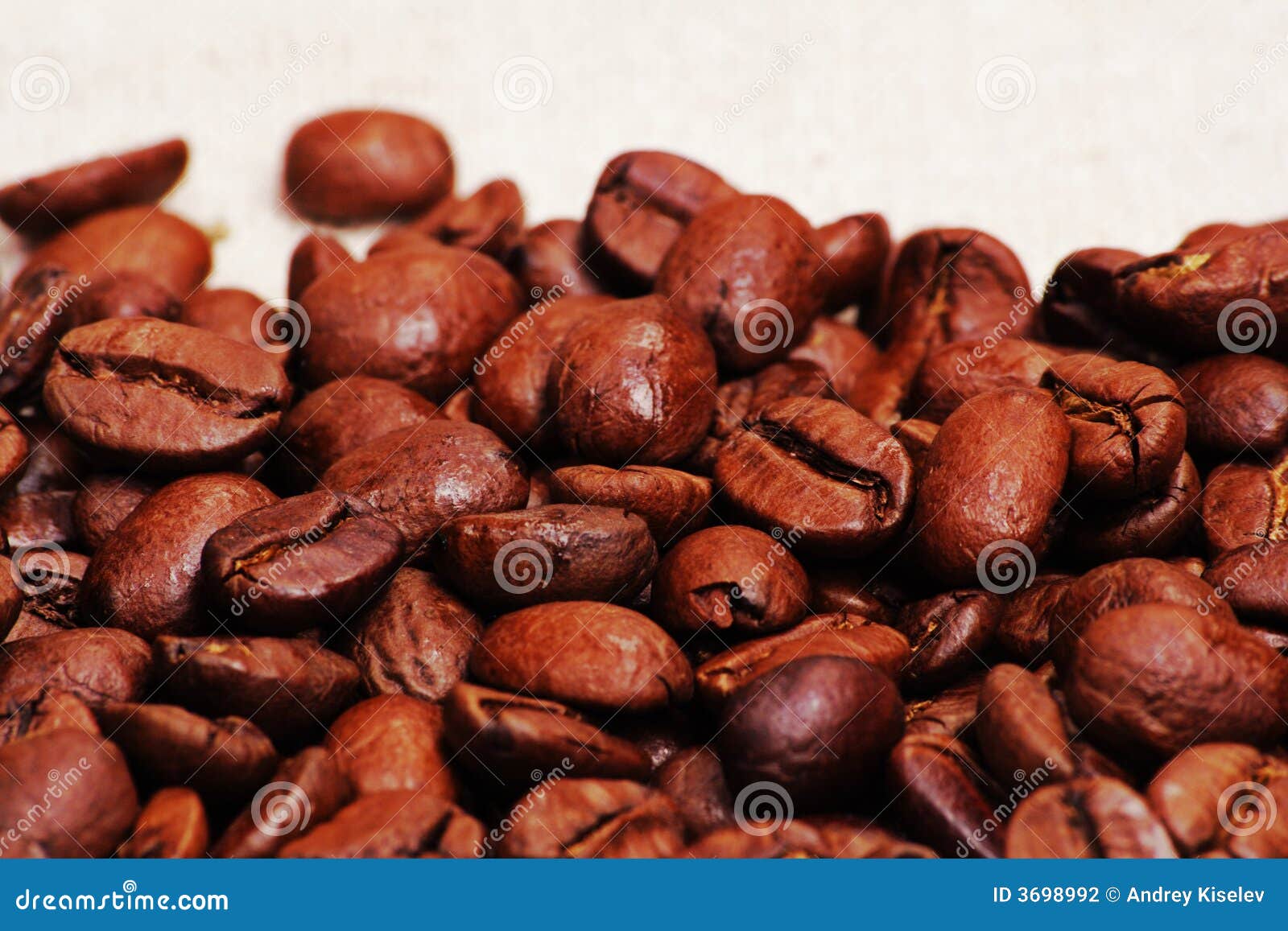 India coffe stock photo. Image of india, grain, addiction - 3698992