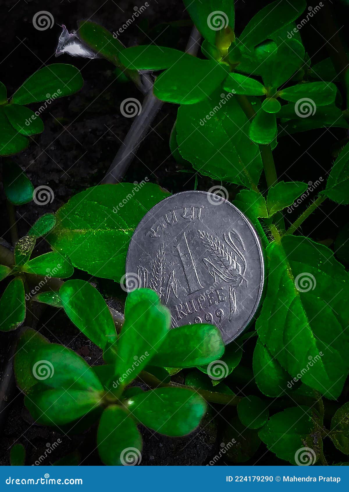 India de moneda verde foto de archivo. Imagen de verde - 224179290