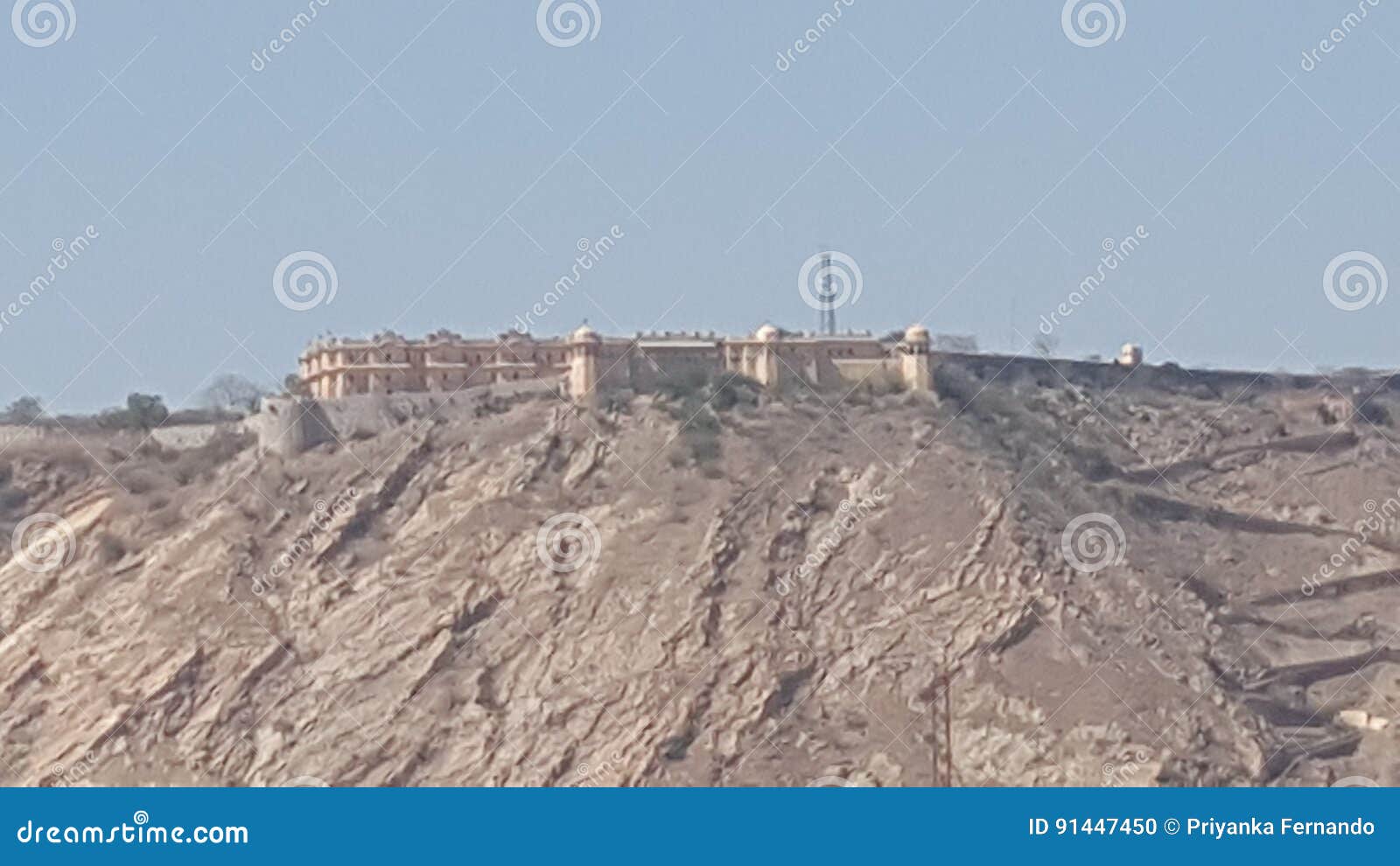 INDIA stock photo. Image of jaipur, distance, tiger, fort - 91447450