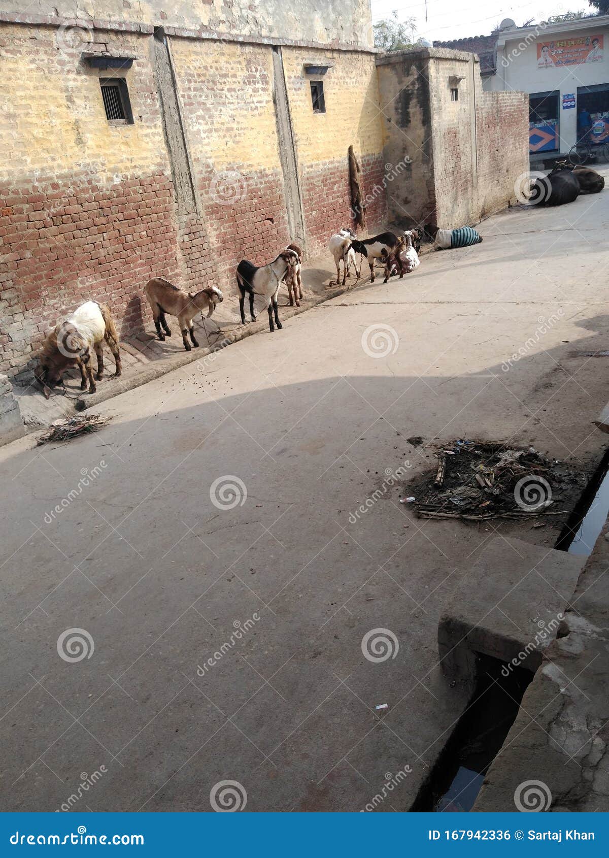 This is a gali in india editorial photo. Image of india - 167942336