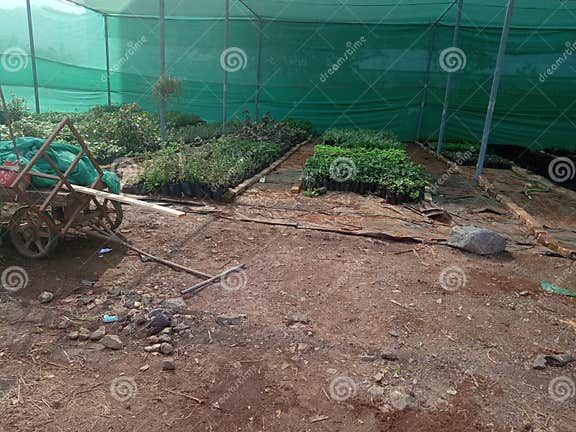 India narsari stock image. Image of india, narsari, flour - 171524775