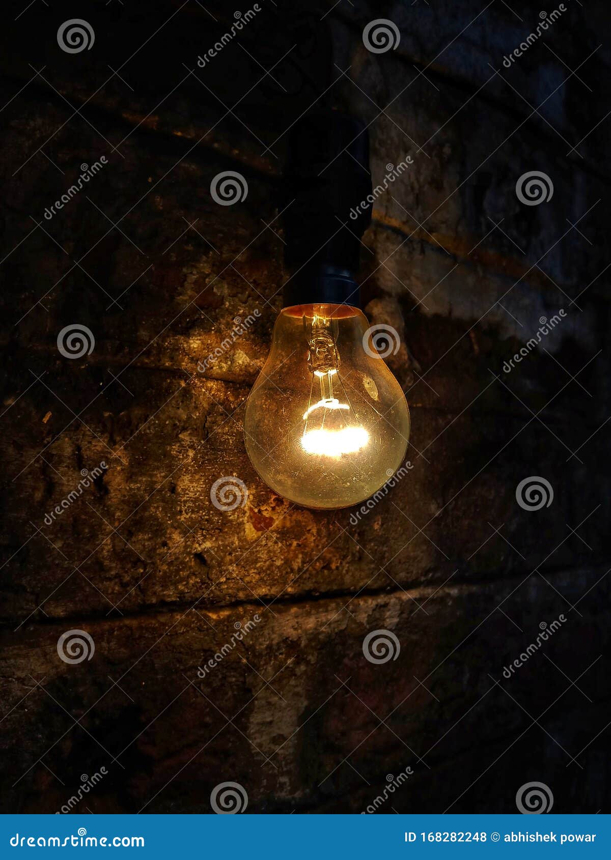 India Night Light Bulb Nature Stock Photo - Image of light, bulb: 168282248