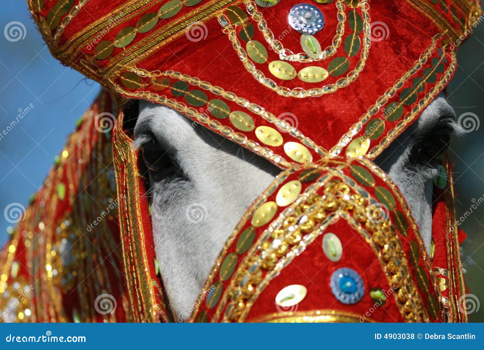 India Princess stock photo. Image of india, white, traditional - 4903038