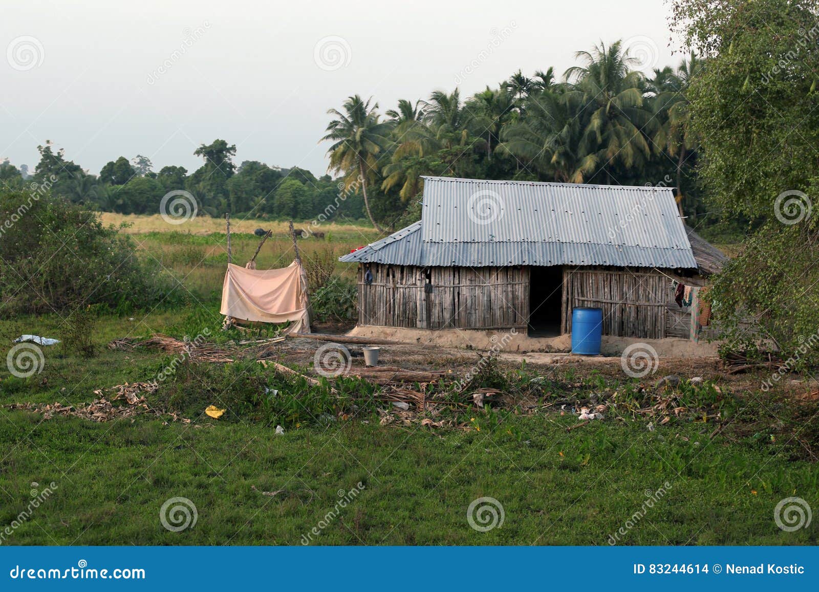 India rural houses stock photo. Image of colorful, houses - 83244614
