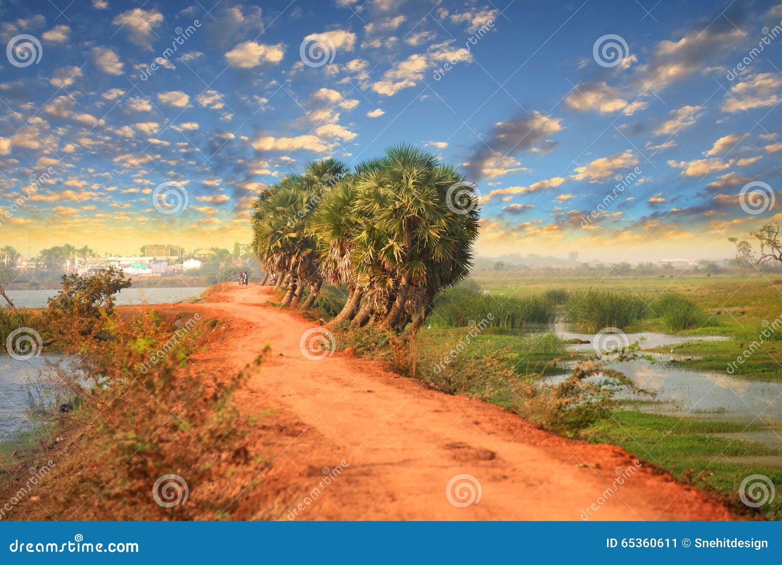 India rural landscape stock image. Image of lush, foliage - 65360611