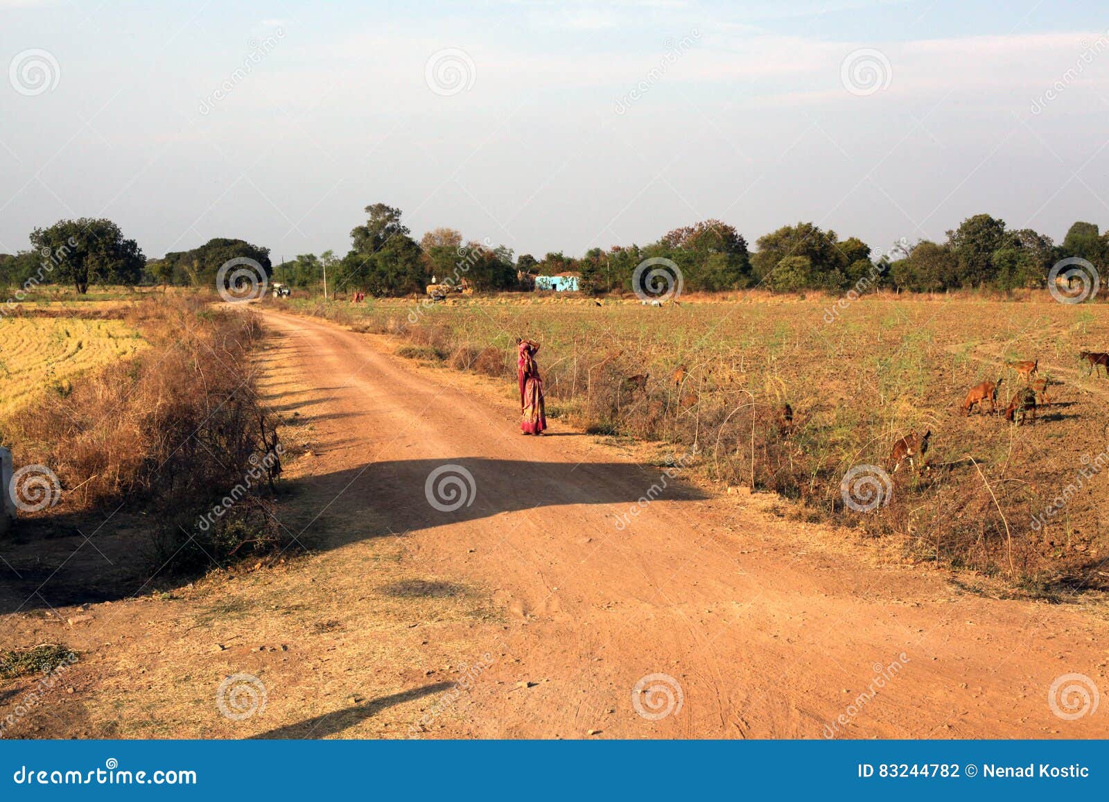 India rural landscapes stock photo. Image of people, east - 83244782