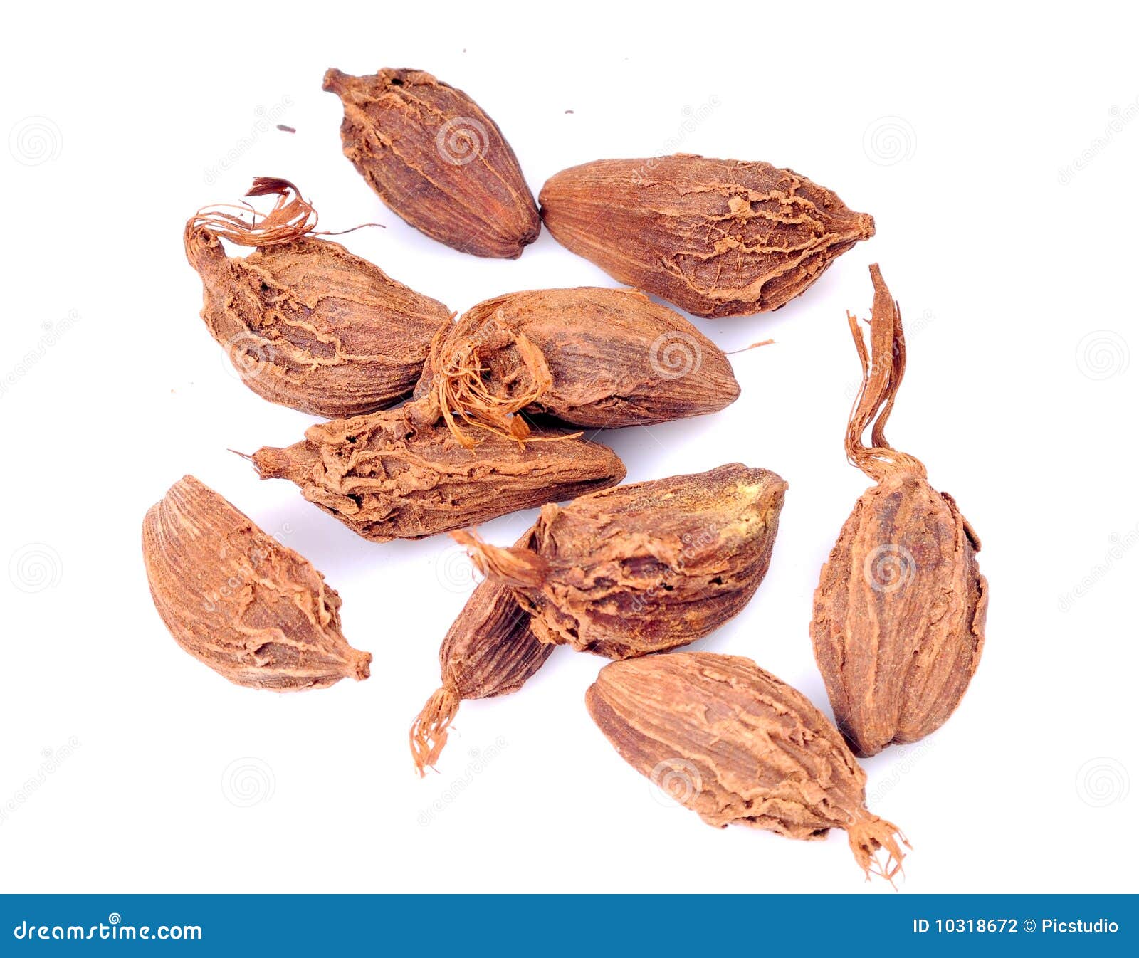 India spice cardamom stock photo. Image of close, brown - 10318672