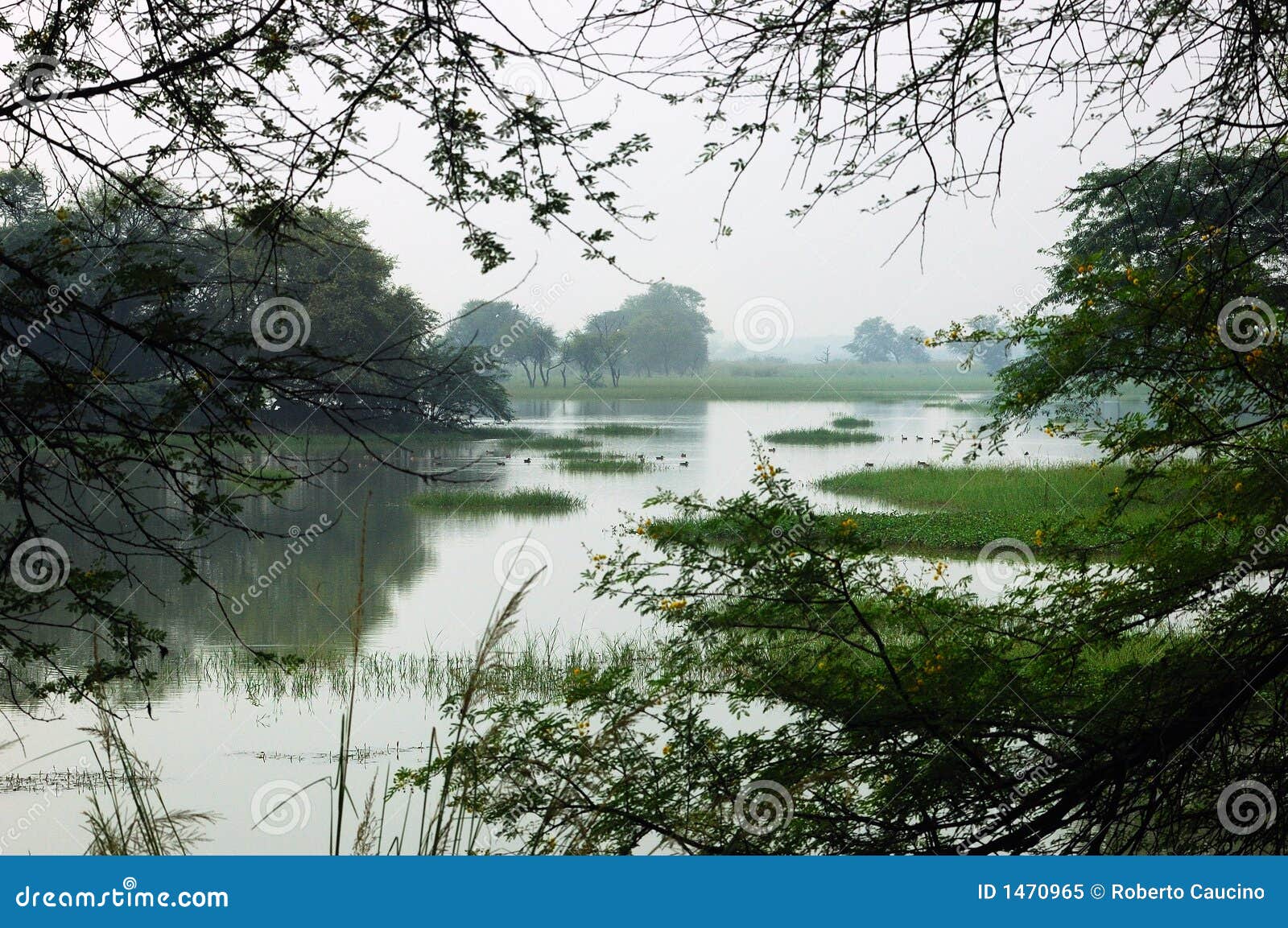 India Sultanpur stock image. Image of sultanpur, clouds - 1470965