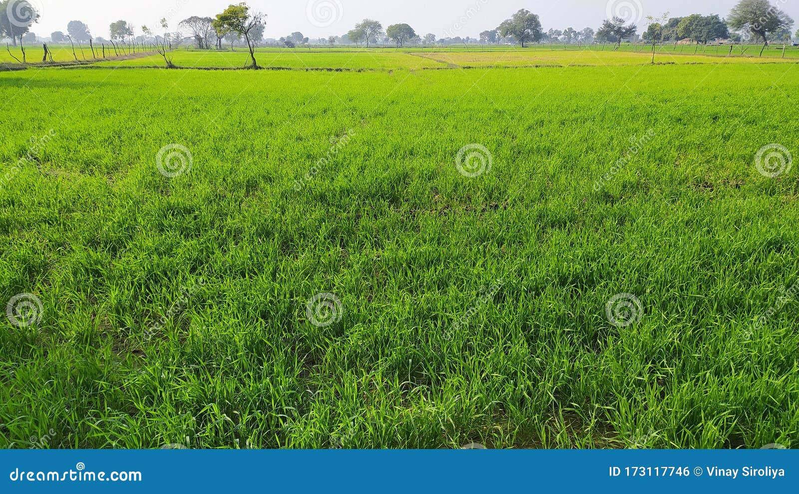 8,091 Agro Farm Photos - Free & Royalty-Free Stock Photos from Dreamstime