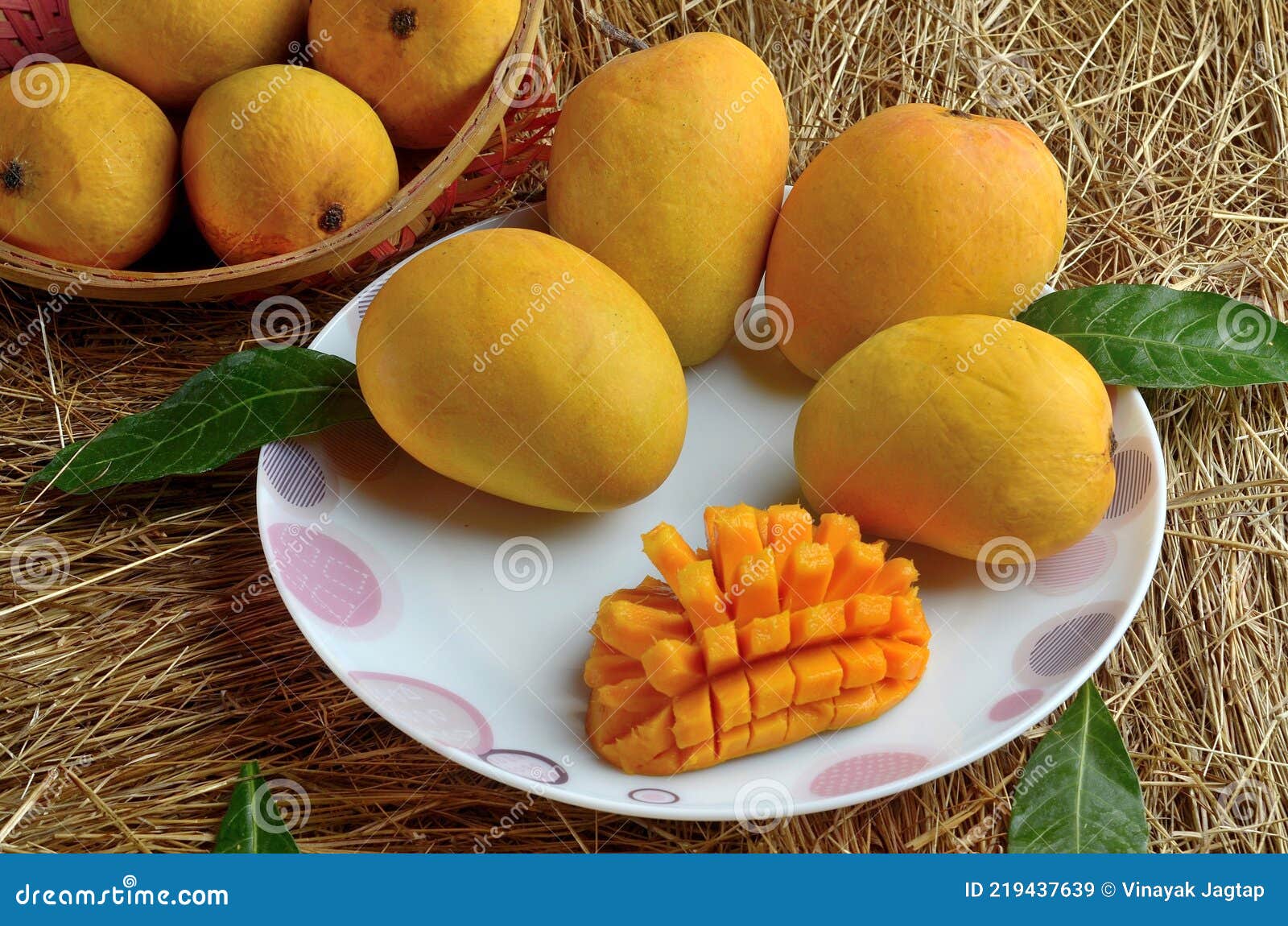 Indian Alphonso Mango Fruits in Grass Closeup Stock Image - Image of ...