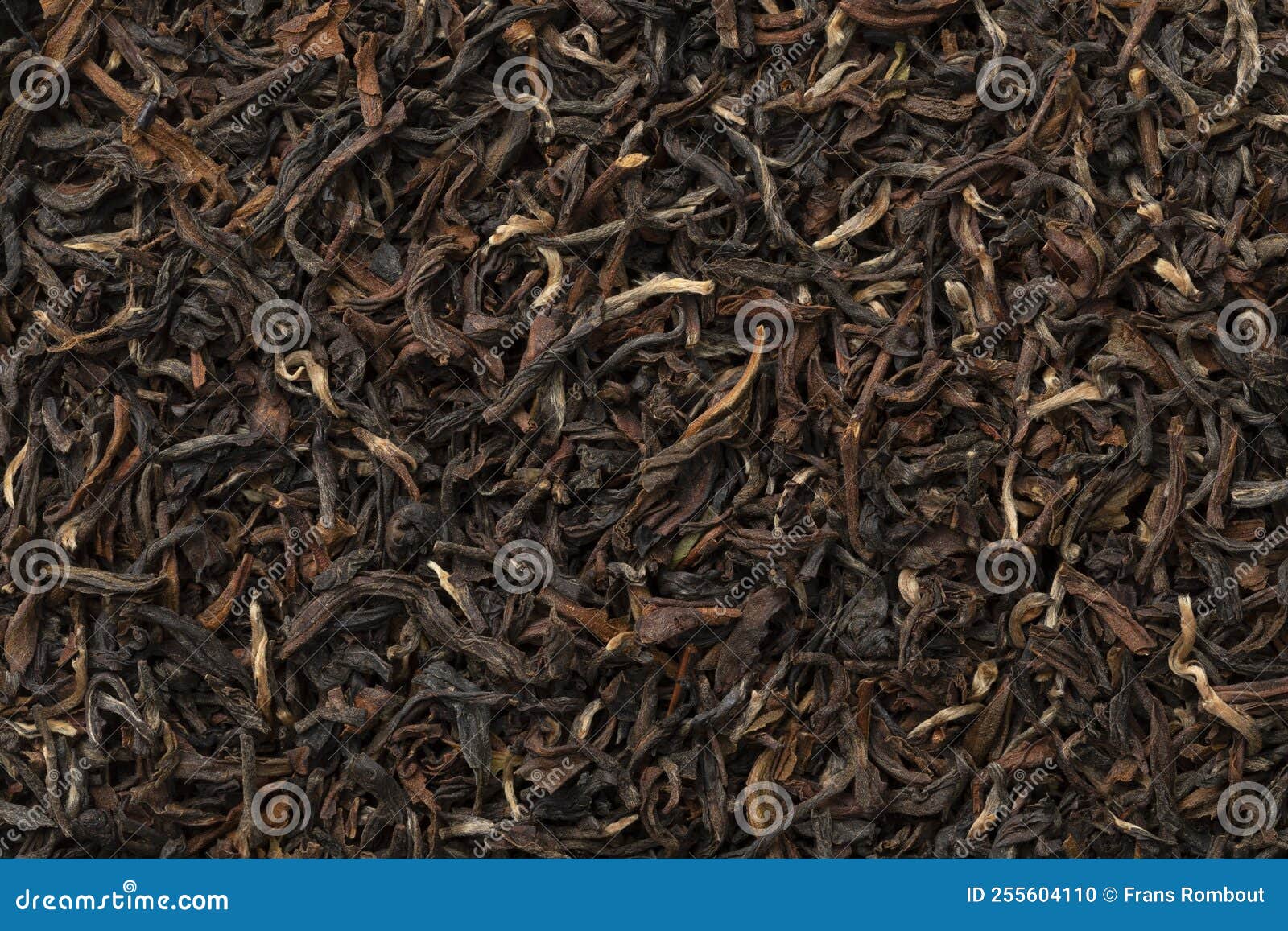 Indian Ambootia Stock Photos - Free & Royalty-Free Stock Photos from ...