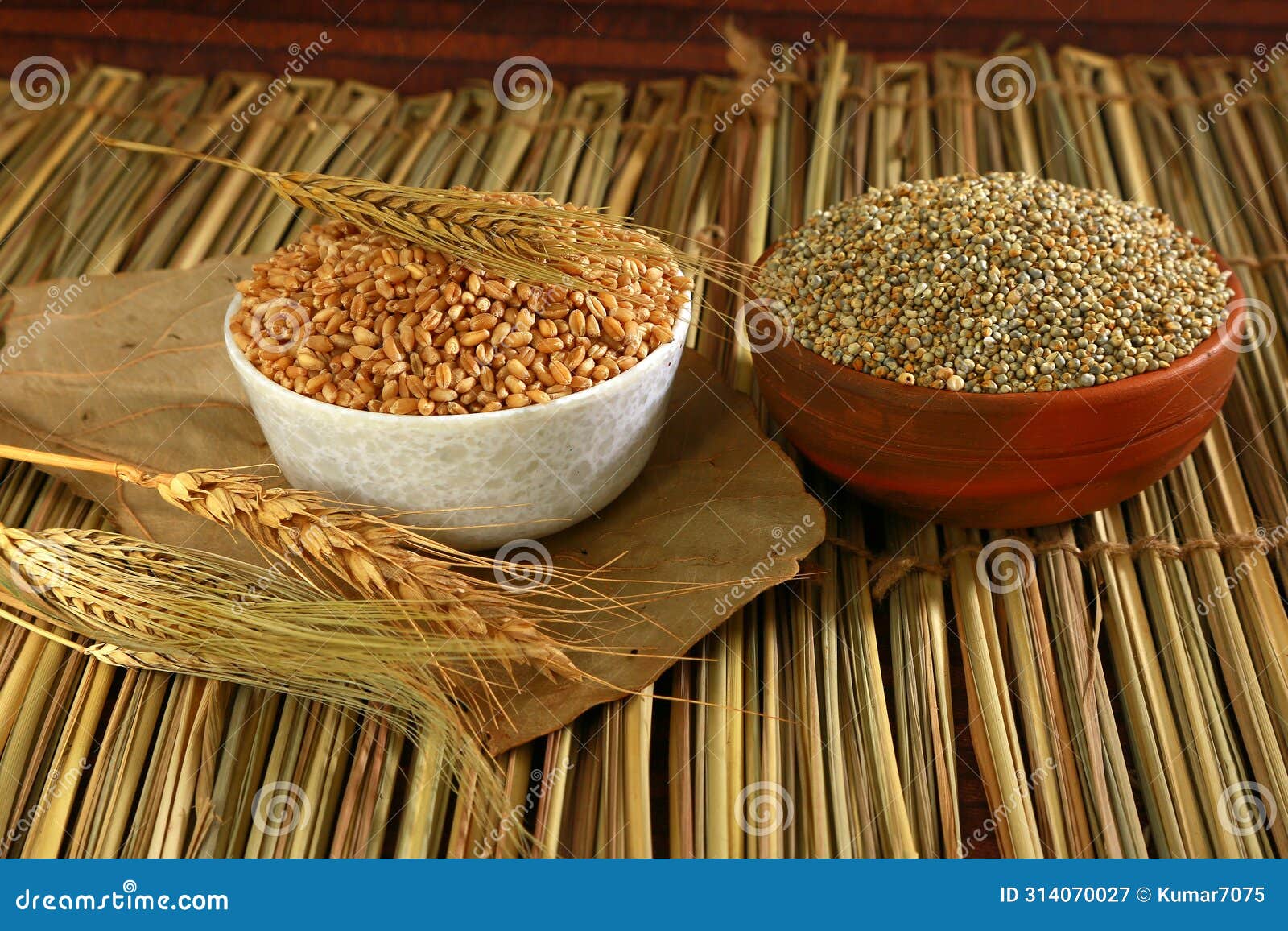 Indian Bajra with Wheat stock image. Image of event - 314070027