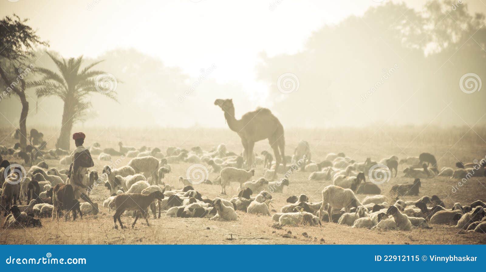 The Indian Banjara editorial image. Image of banjaras - 22912115