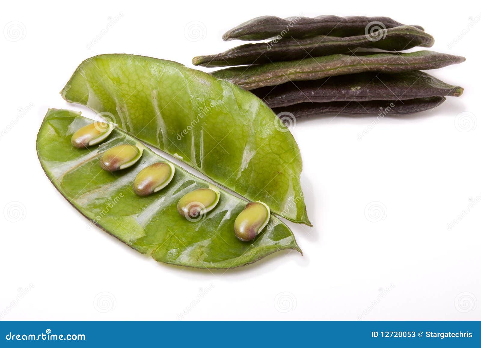 Indian Bean stock image. Image of bean, isolated, bonavista - 12720053