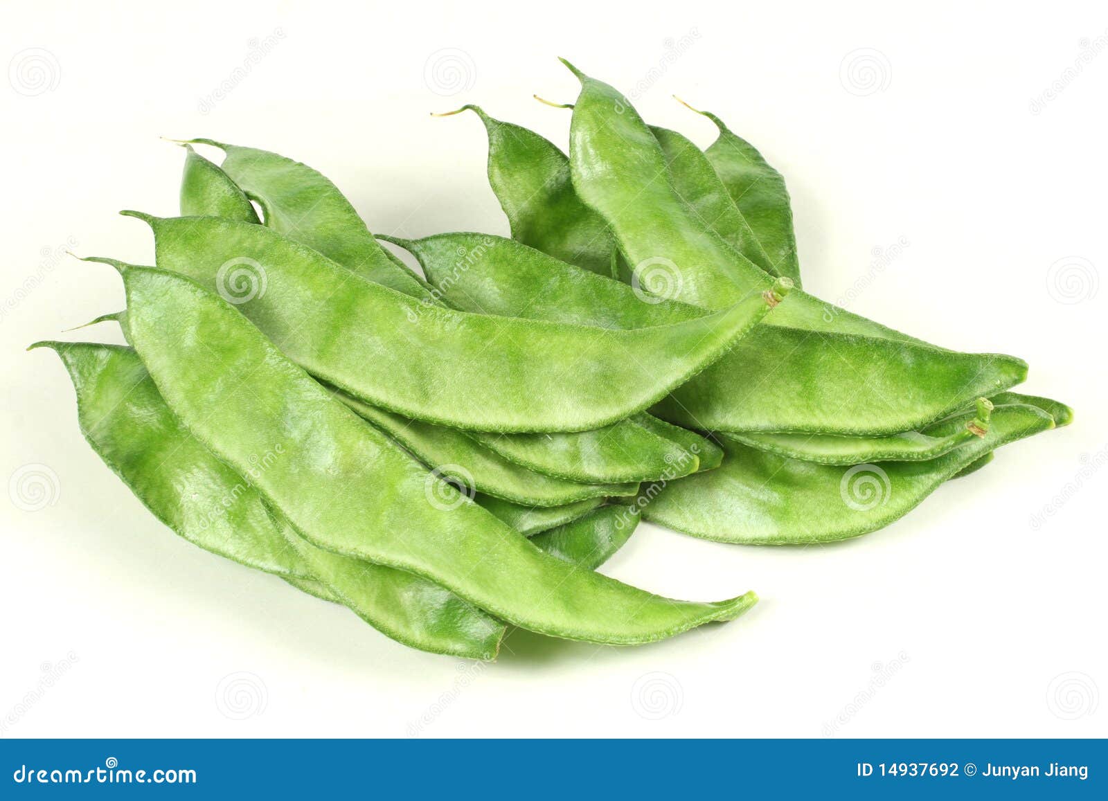 Indian Bean stock photo. Image of plant, ethnic, asia - 14937692