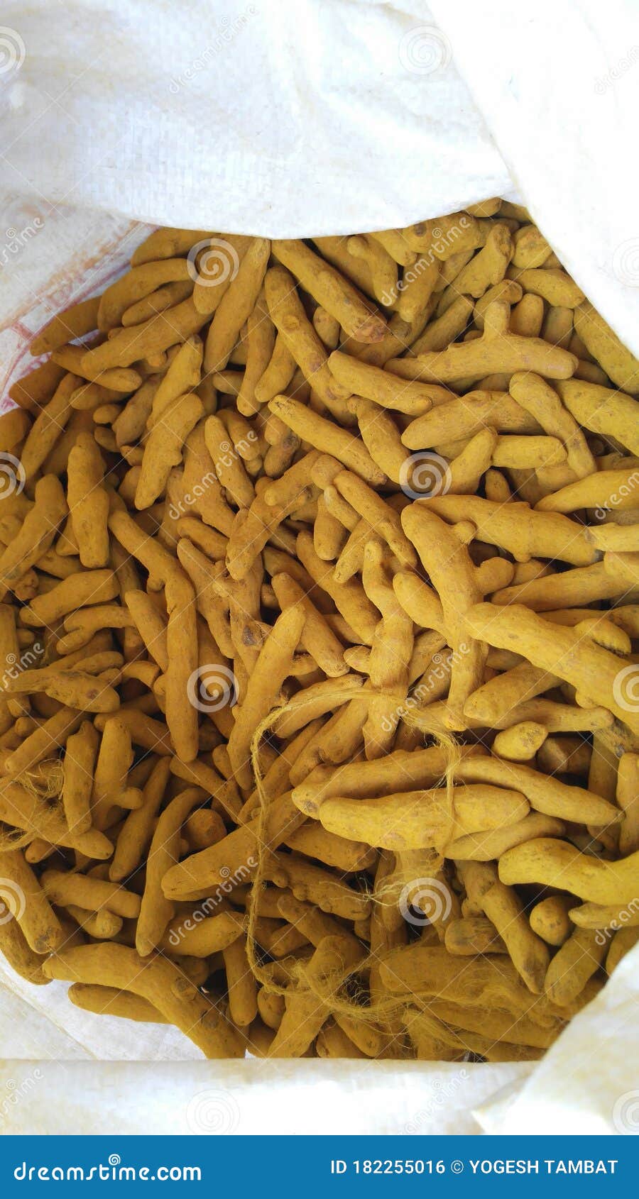 INDIAN BEST TURMERIC stock photo. Image of skinenhancer - 182255016