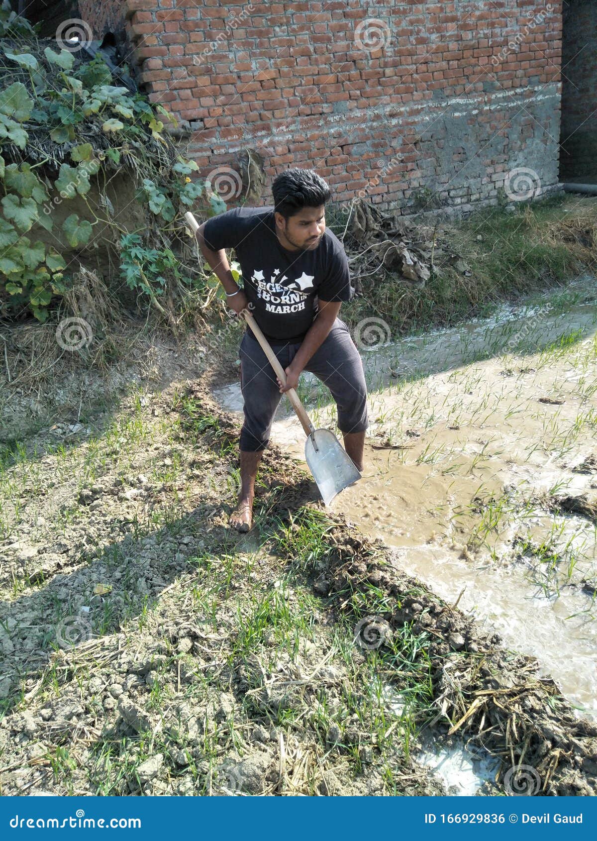 Indian Boy Doing Irrigation Work. Editorial Photo - Image of nepal ...
