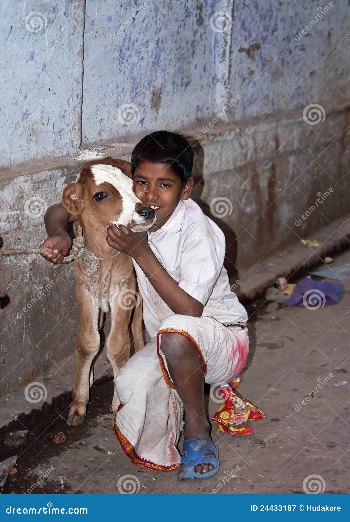 Indian boy and his calf editorial photography. Image of kids - 24433187