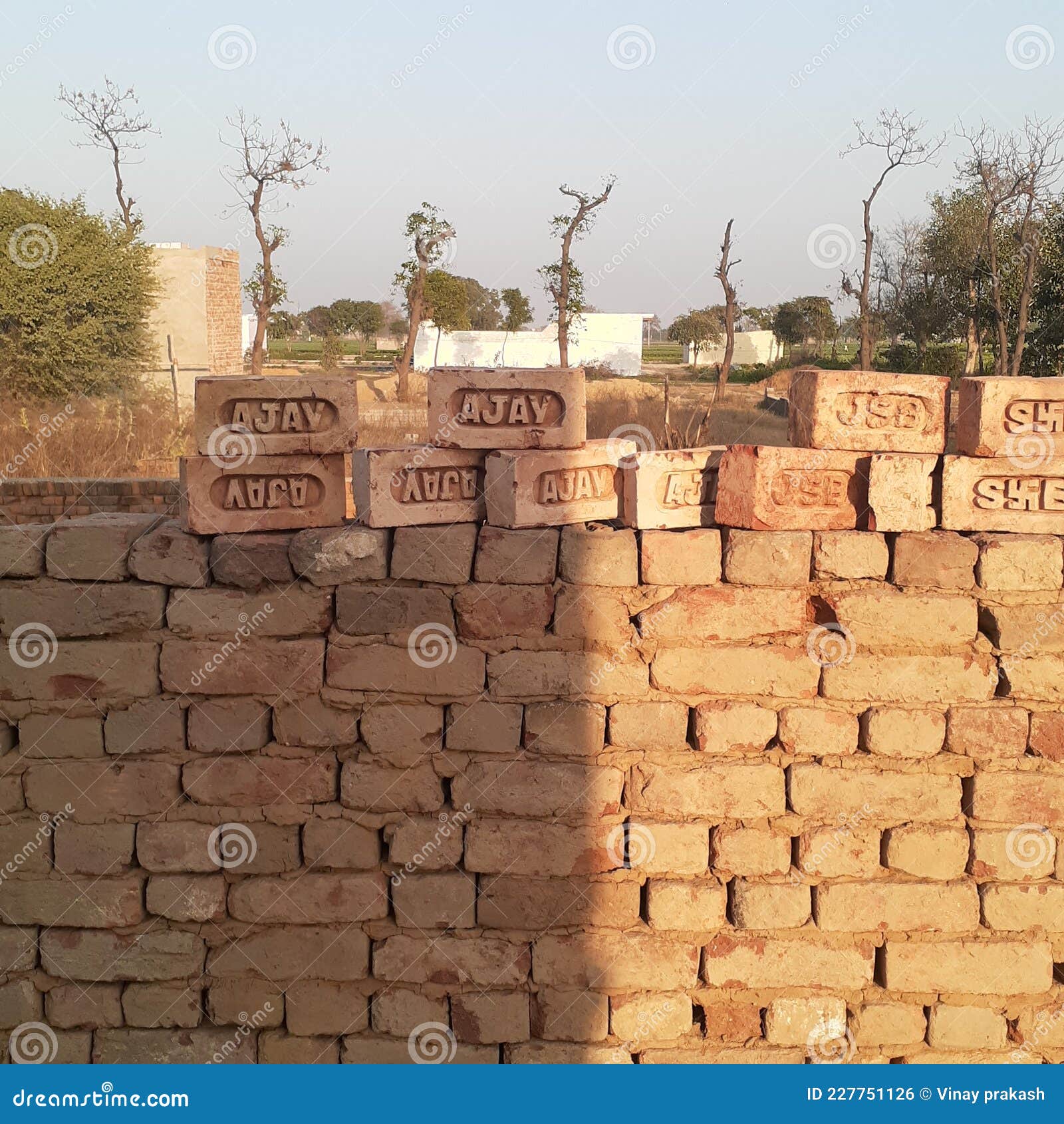 This is Indian bricks editorial photo. Image of floor - 227751126