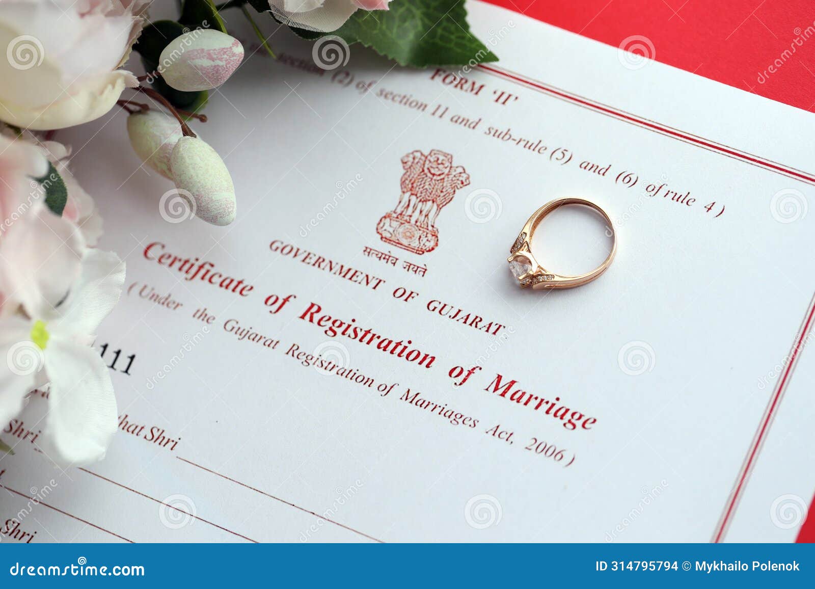 Indian Certificate of Registration of Marriage Blank Document and ...