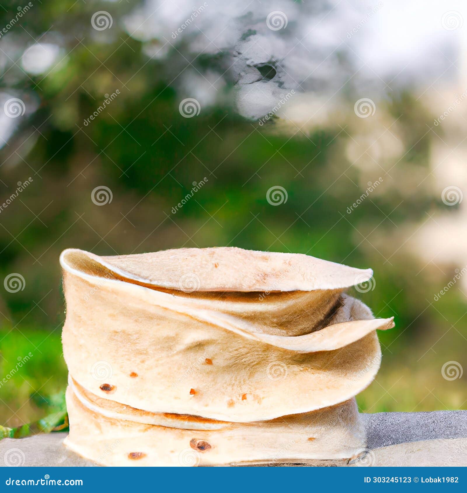 Indian chapati flatbread stock illustration. Illustration of indian ...