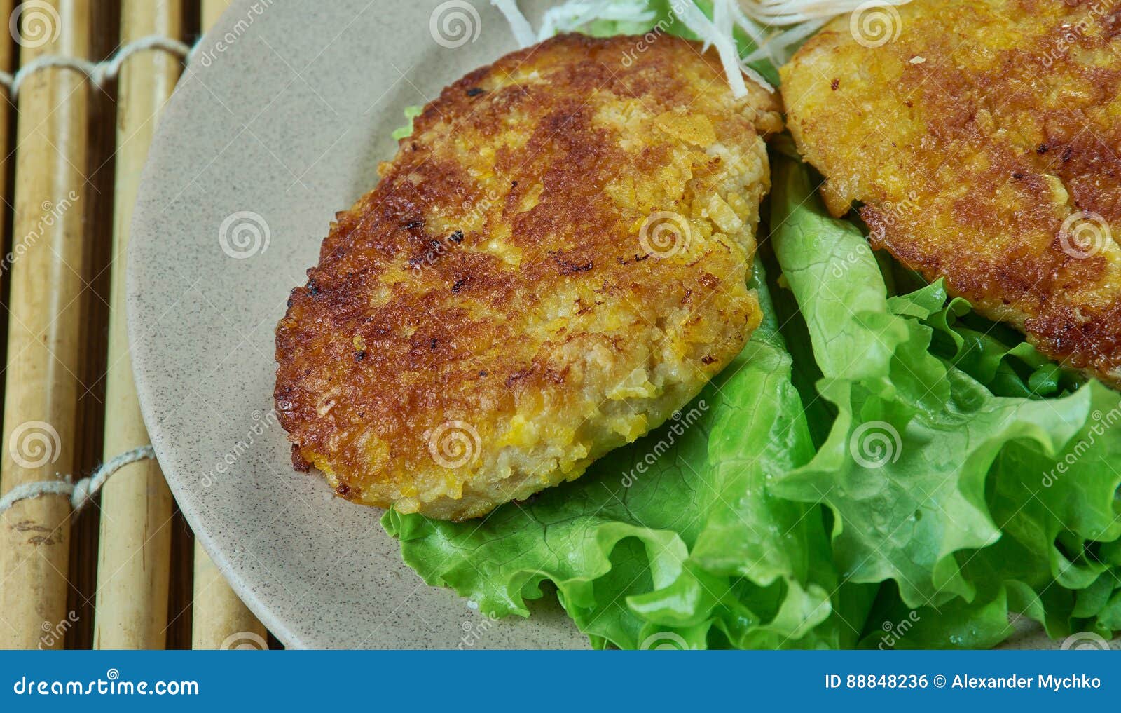 Indian chicken cutlets stock photo. Image of indian, close - 88848236
