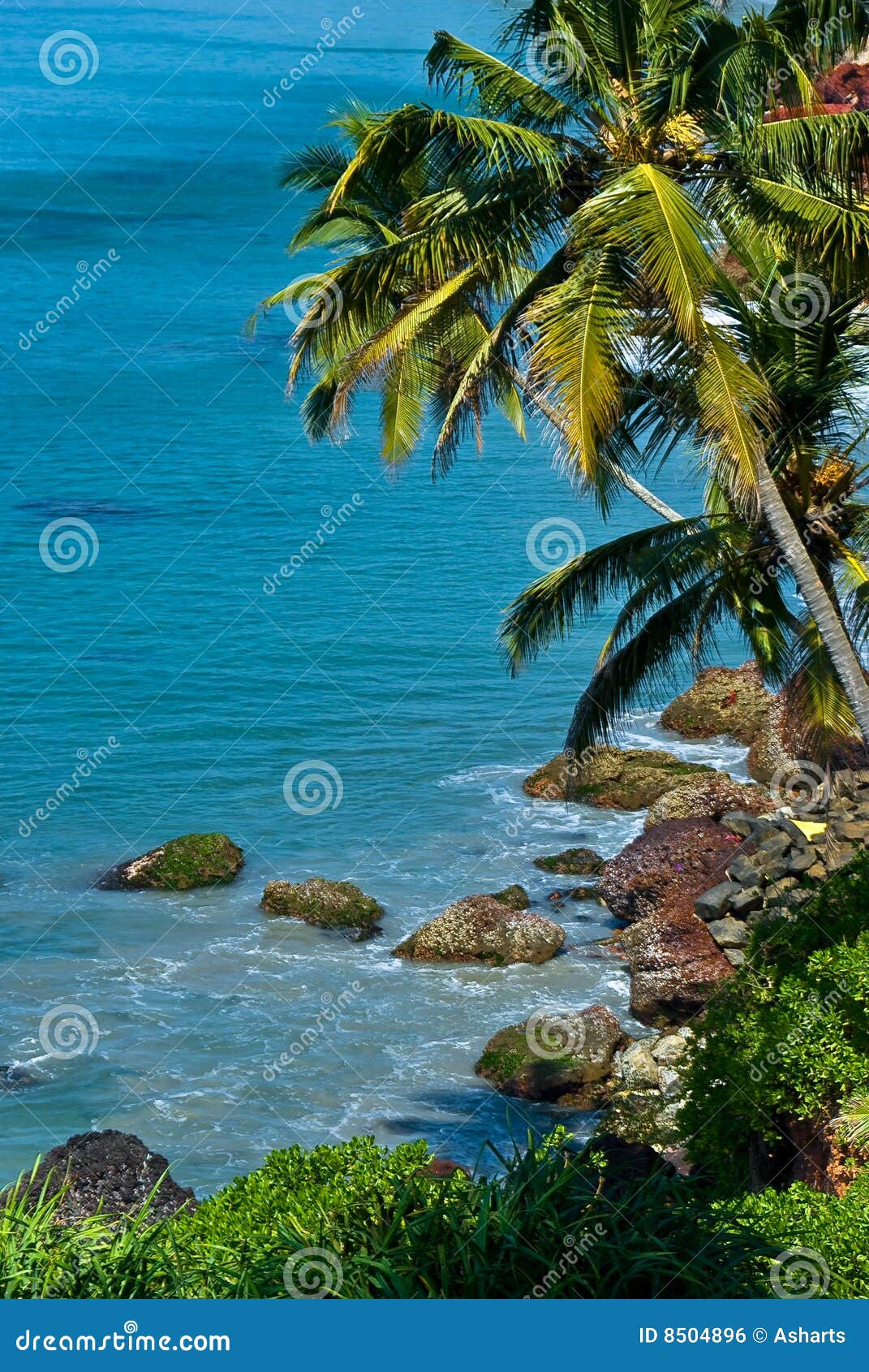 Indian coast stock photo. Image of vacations, tropisch - 8504896