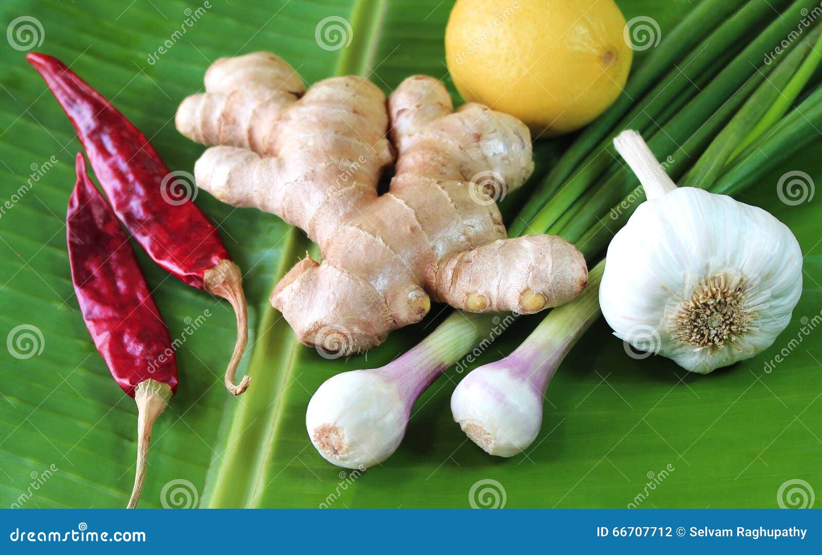 Indian cooking ingredients stock photo. Image of asian - 66707712