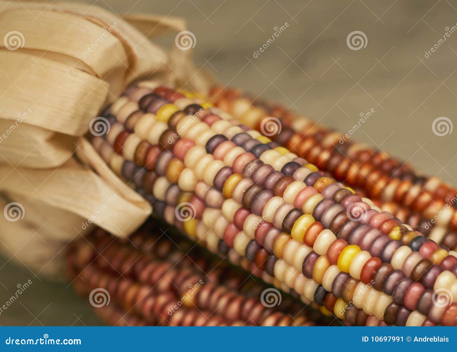 Indian corn stock image. Image of bead, holiday, autumn - 10697991