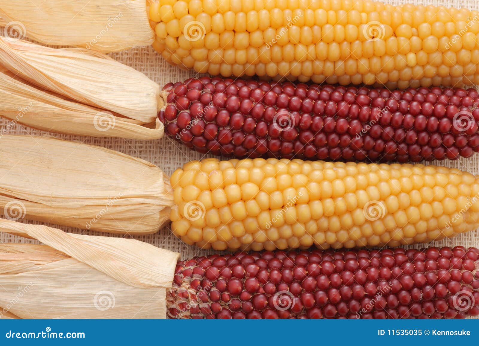 Indian Corn stock image. Image of brown, ingredient, crops - 11535035