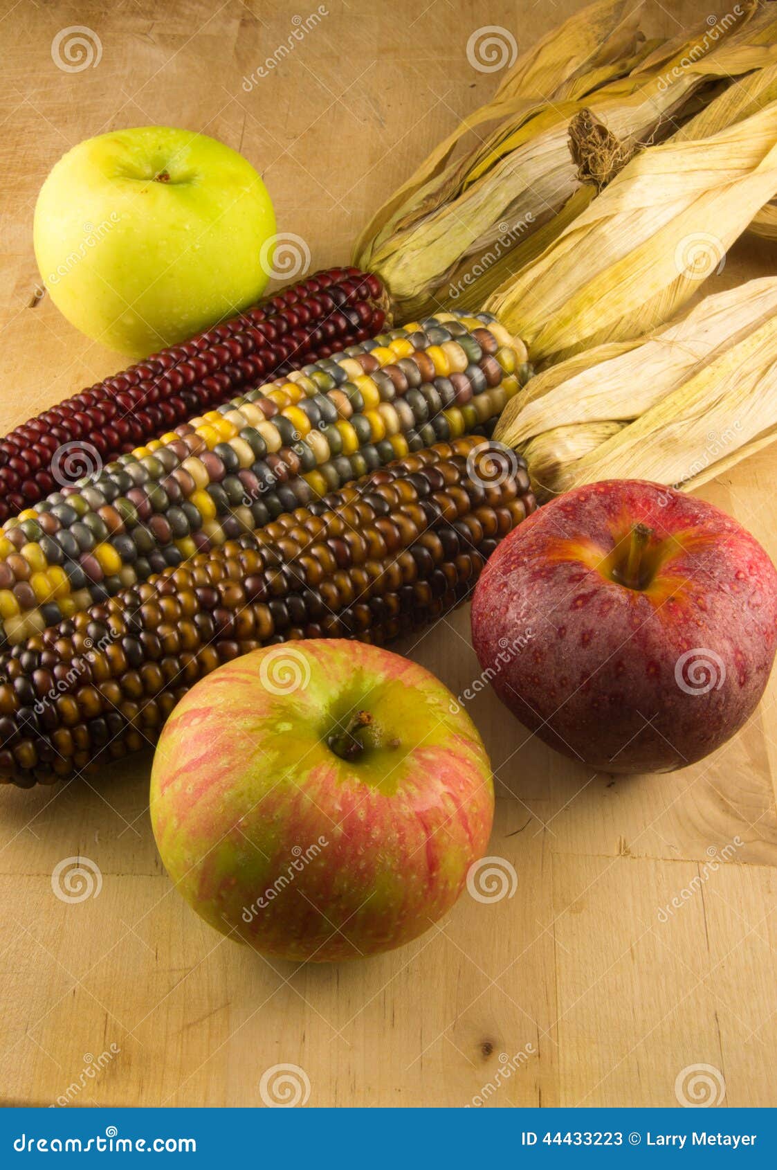Indian Corn and Apples stock image. Image of decorative - 44433223