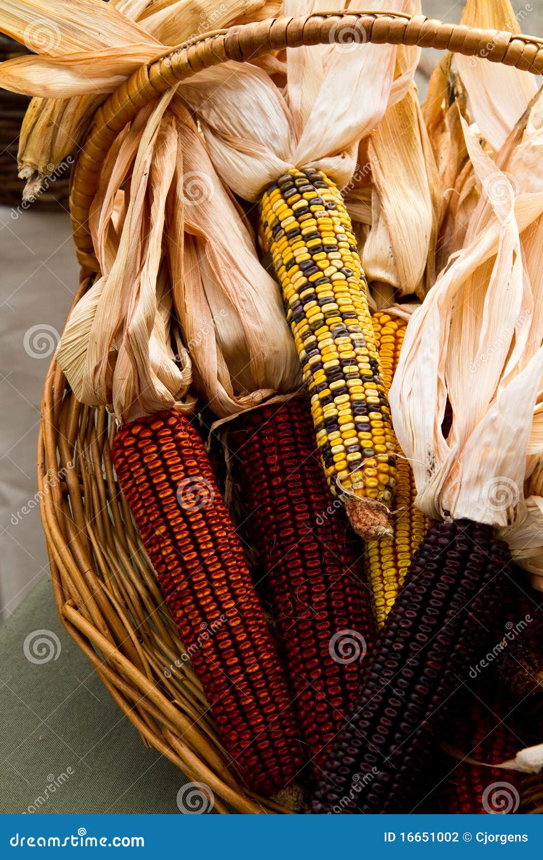 Indian Corn Basket stock photo. Image of flint, flour - 16651002