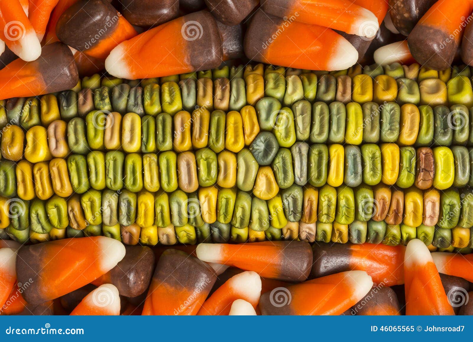Indian Corn in Candy stock image. Image of dessert, confection - 46065565