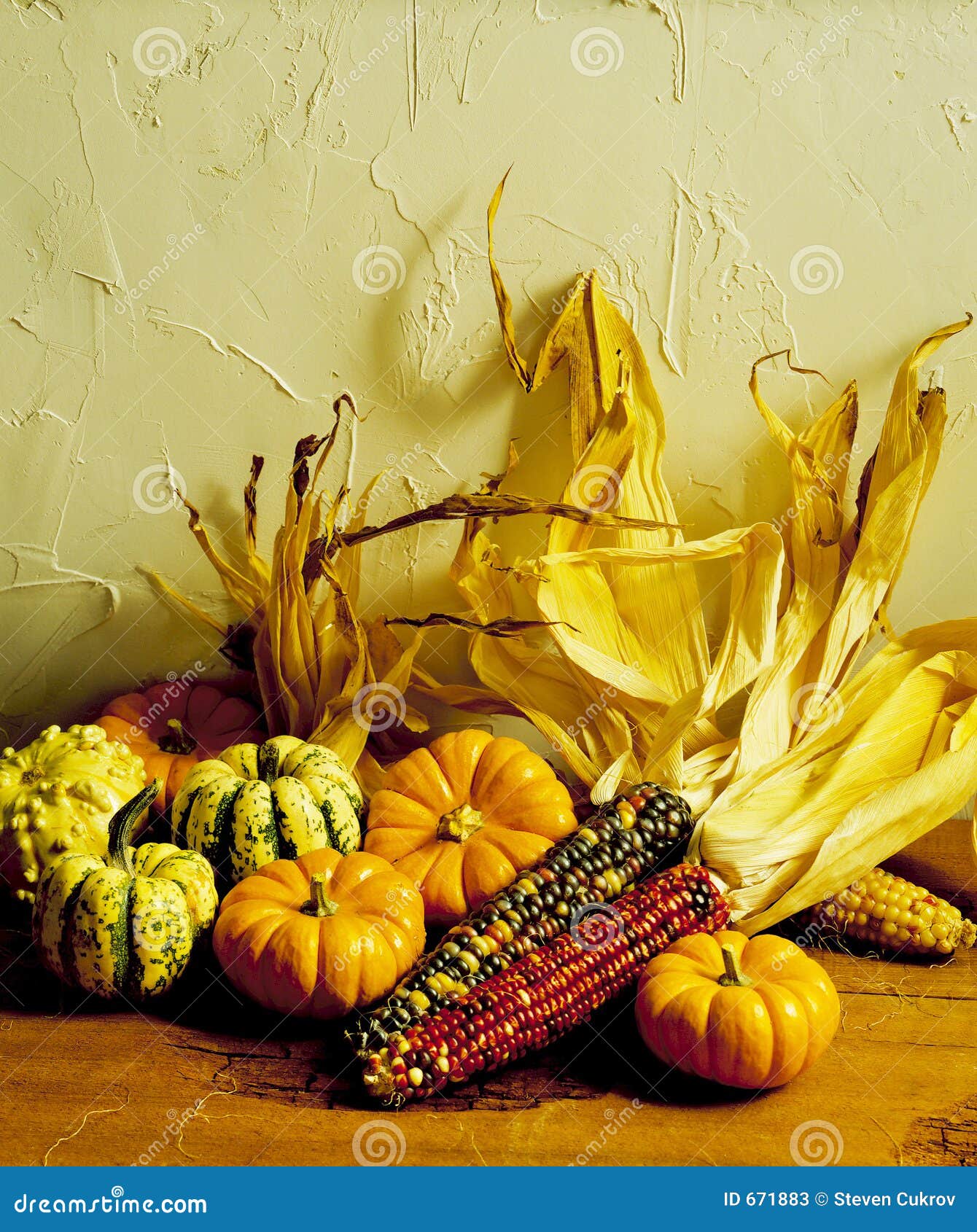 Indian Corn & Gourds stock image. Image of november - 671883