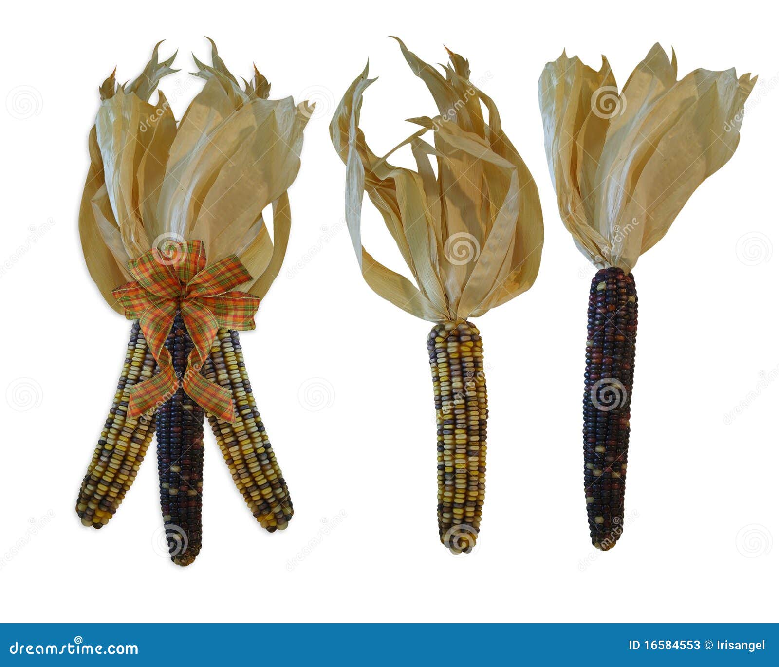 Indian Corn Autumn Design Stock Illustrations – 323 Indian Corn Autumn ...