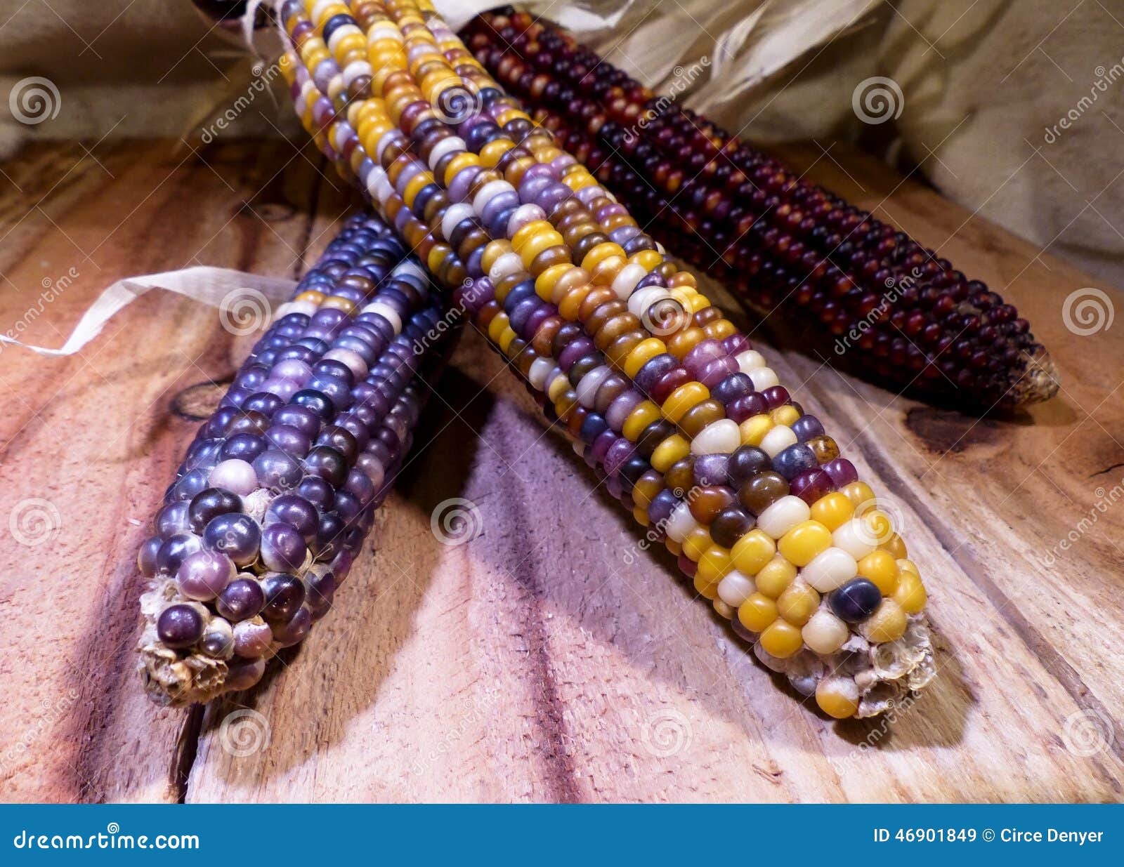 Indian Corn Wood Planks Stock Photos - Free & Royalty-Free Stock Photos ...