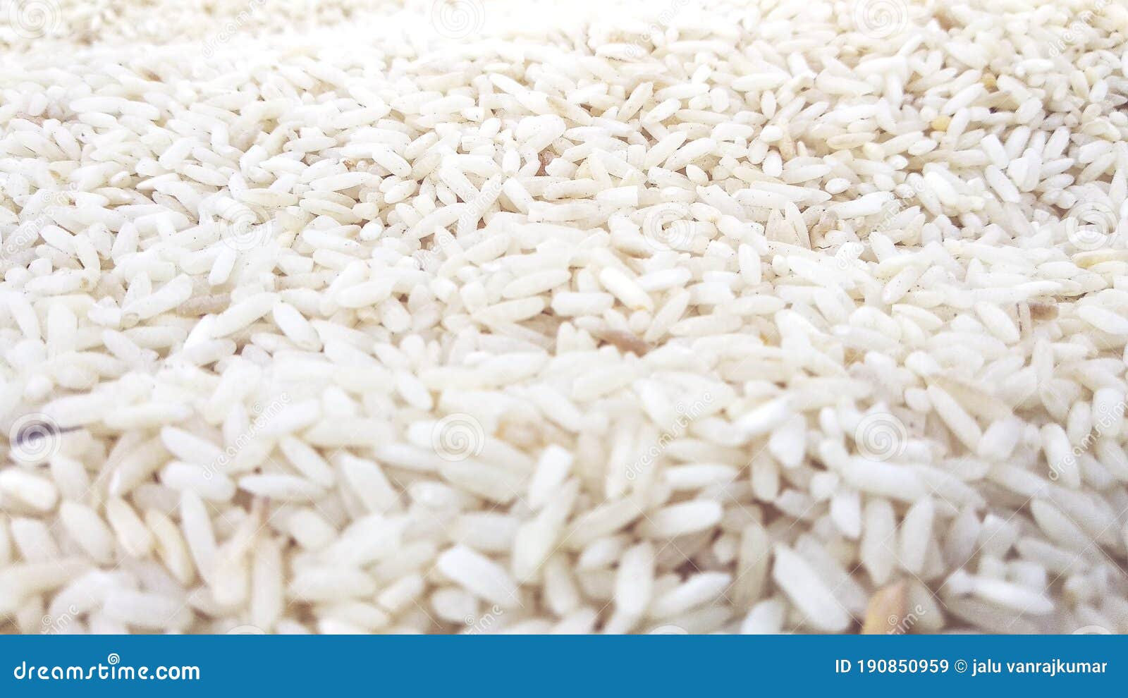 Indian Cuisine Basmati Rice /Chaval /Bhat Stock Image - Image of ...