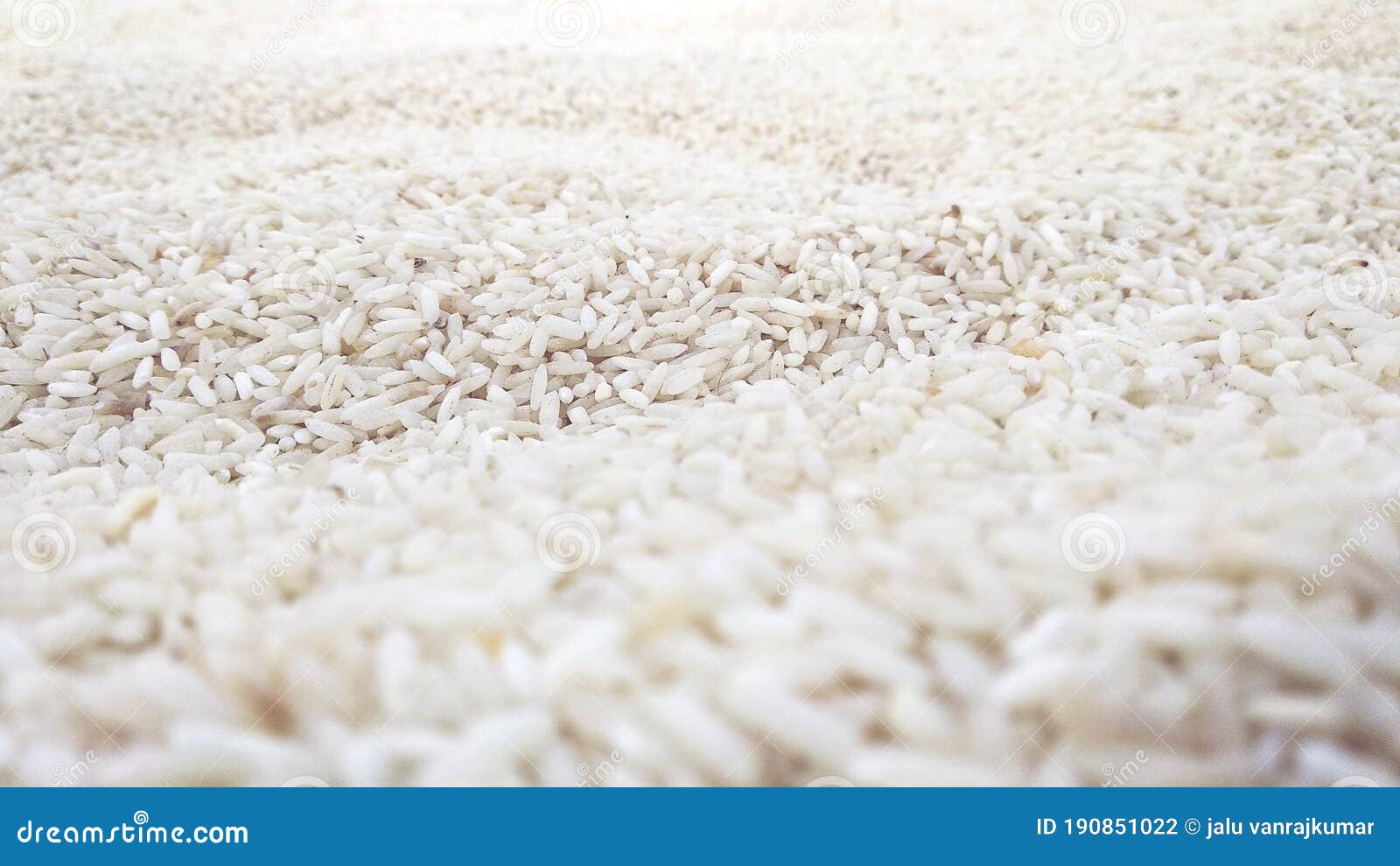 Indian Cuisine Basmati Rice /Chaval /Bhat Stock Photo - Image of brown ...