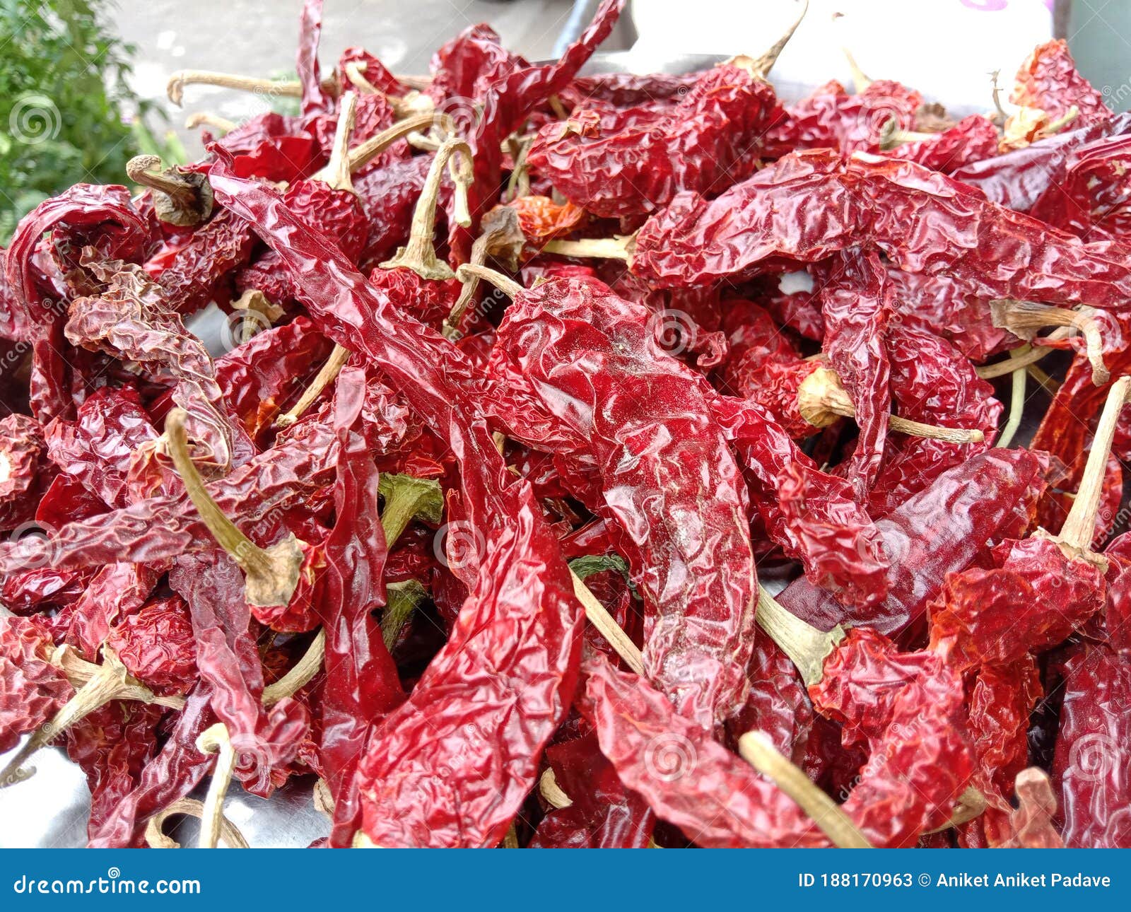 Indian Dry Red Chillies & X28;bedgi Mirch& X29; Stock Image - Image of ...
