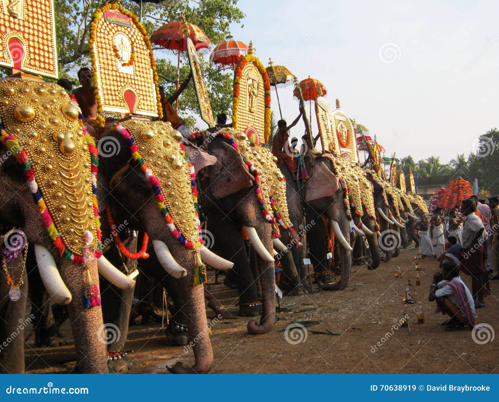 Indian elephant parade editorial stock image. Image of elephant - 70638919