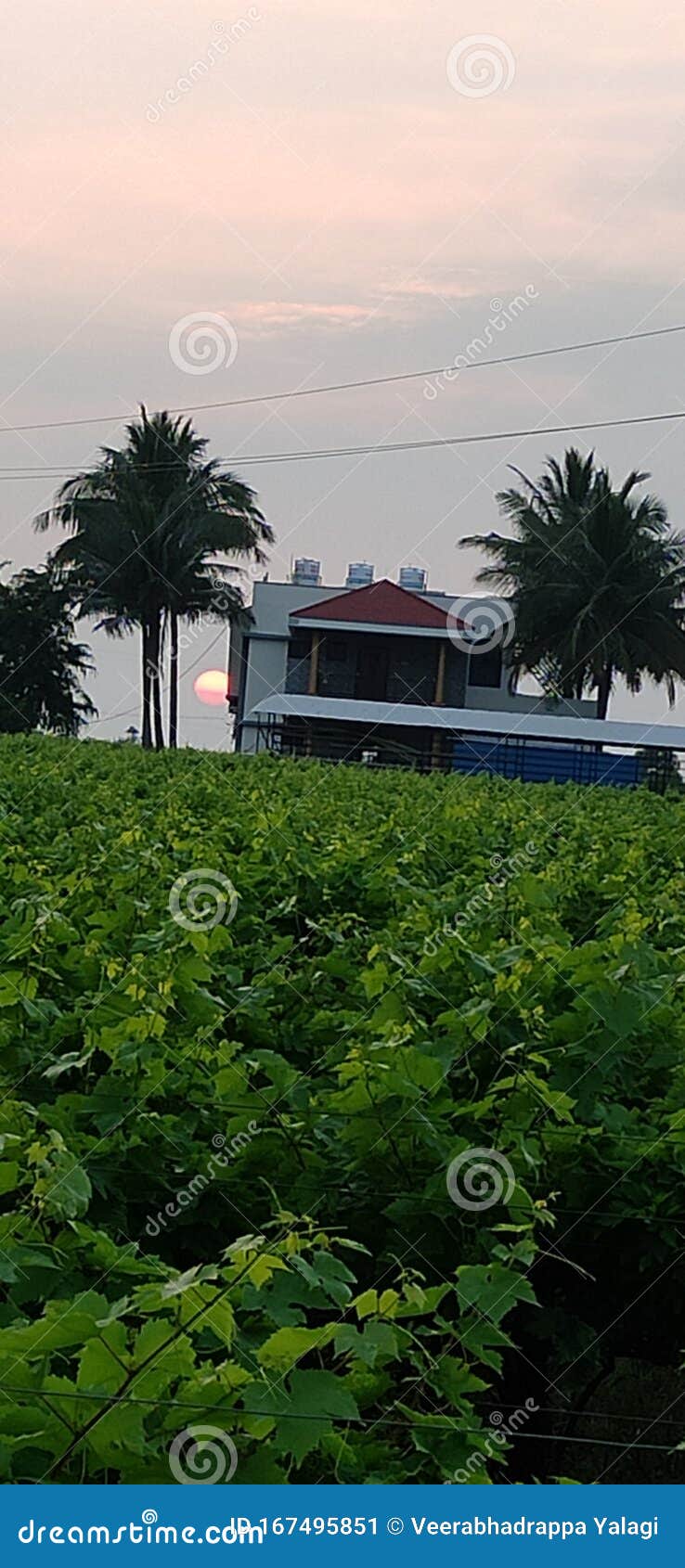 Indian Farm House Looking with Sunset Stock Image - Image of house ...