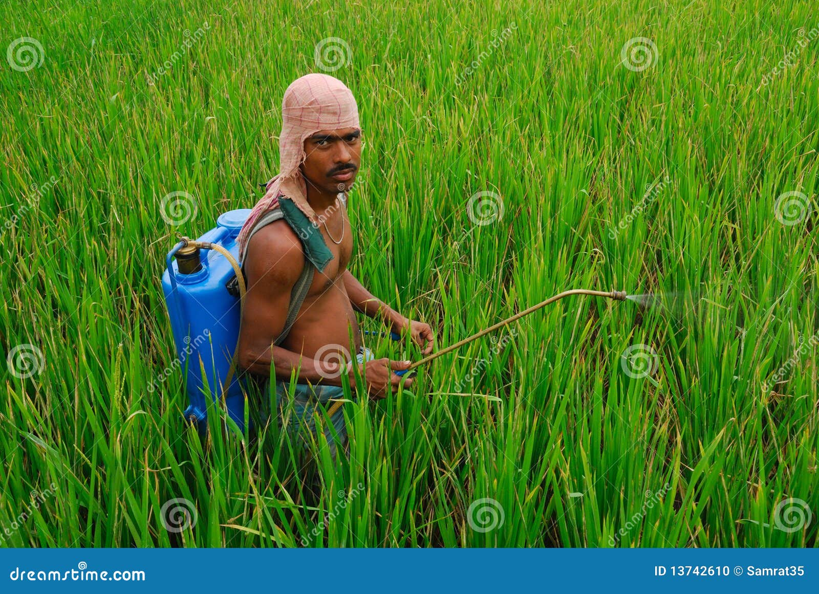 Indian farmer editorial image. Image of spray, bengal - 13742610