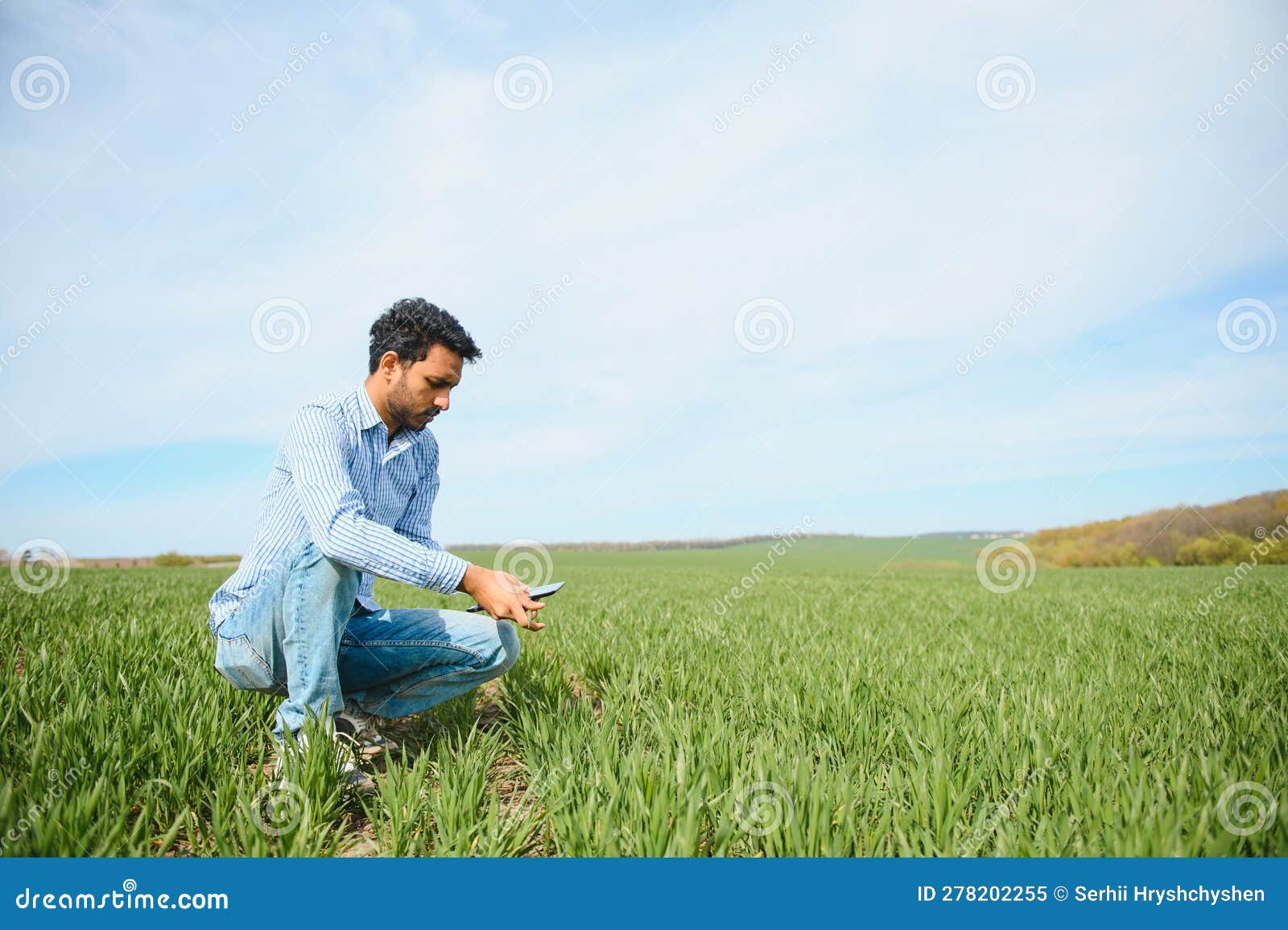 Indian Farmer on Agricultural Field Stock Image - Image of agriculture ...