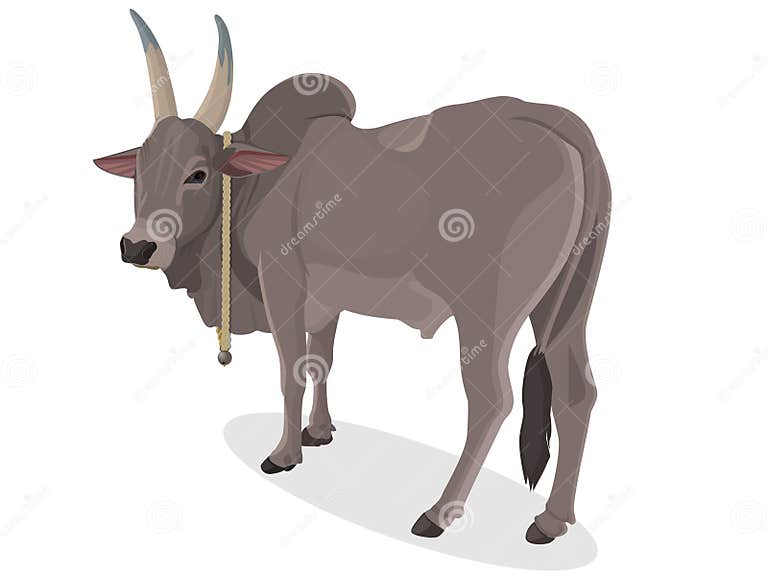 Bull, Indian farmer Bull stock illustration. Illustration of drawing ...