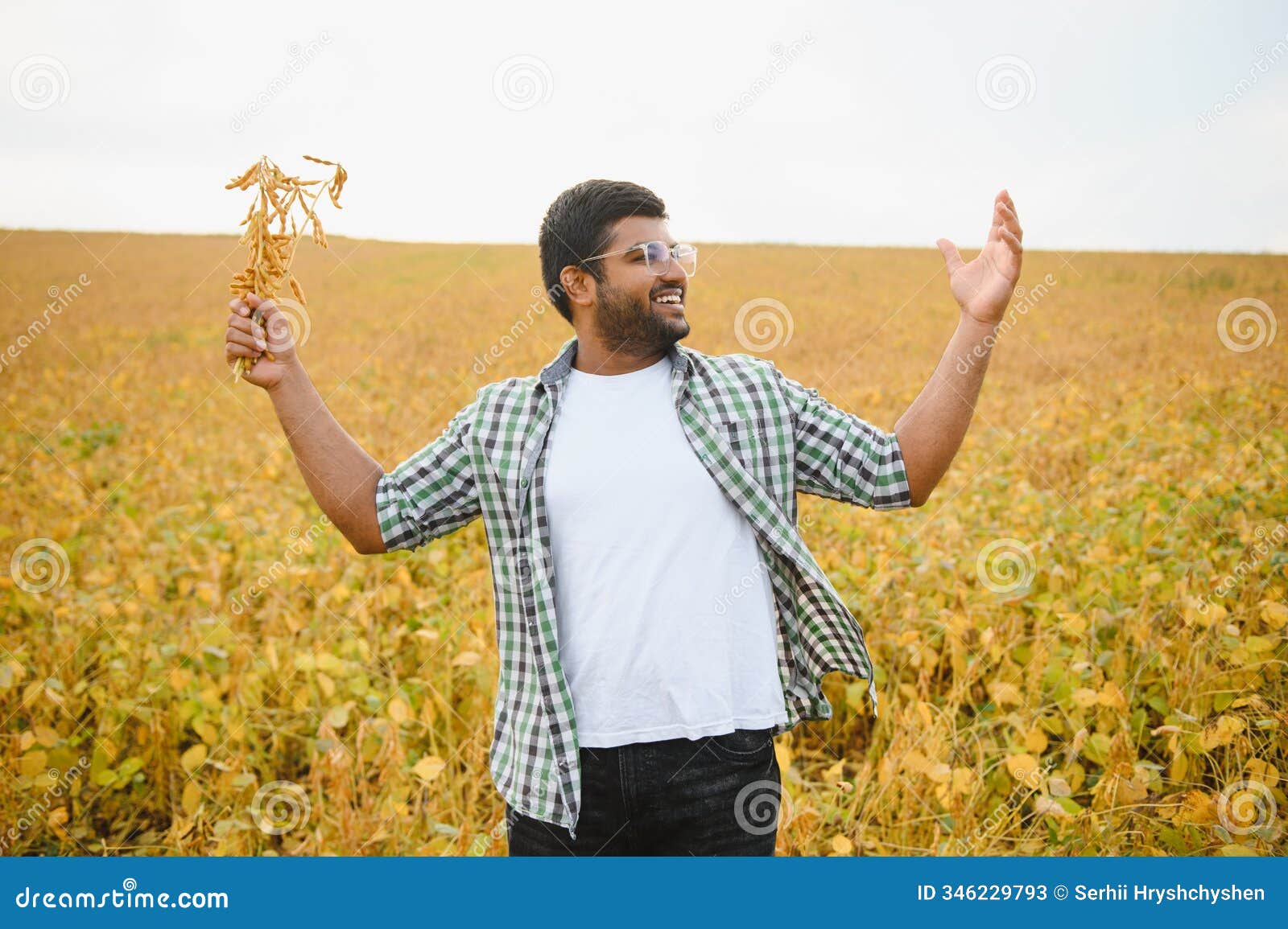 Indian Farmer at Farm Field. Soybean Field Stock Image - Image of water ...